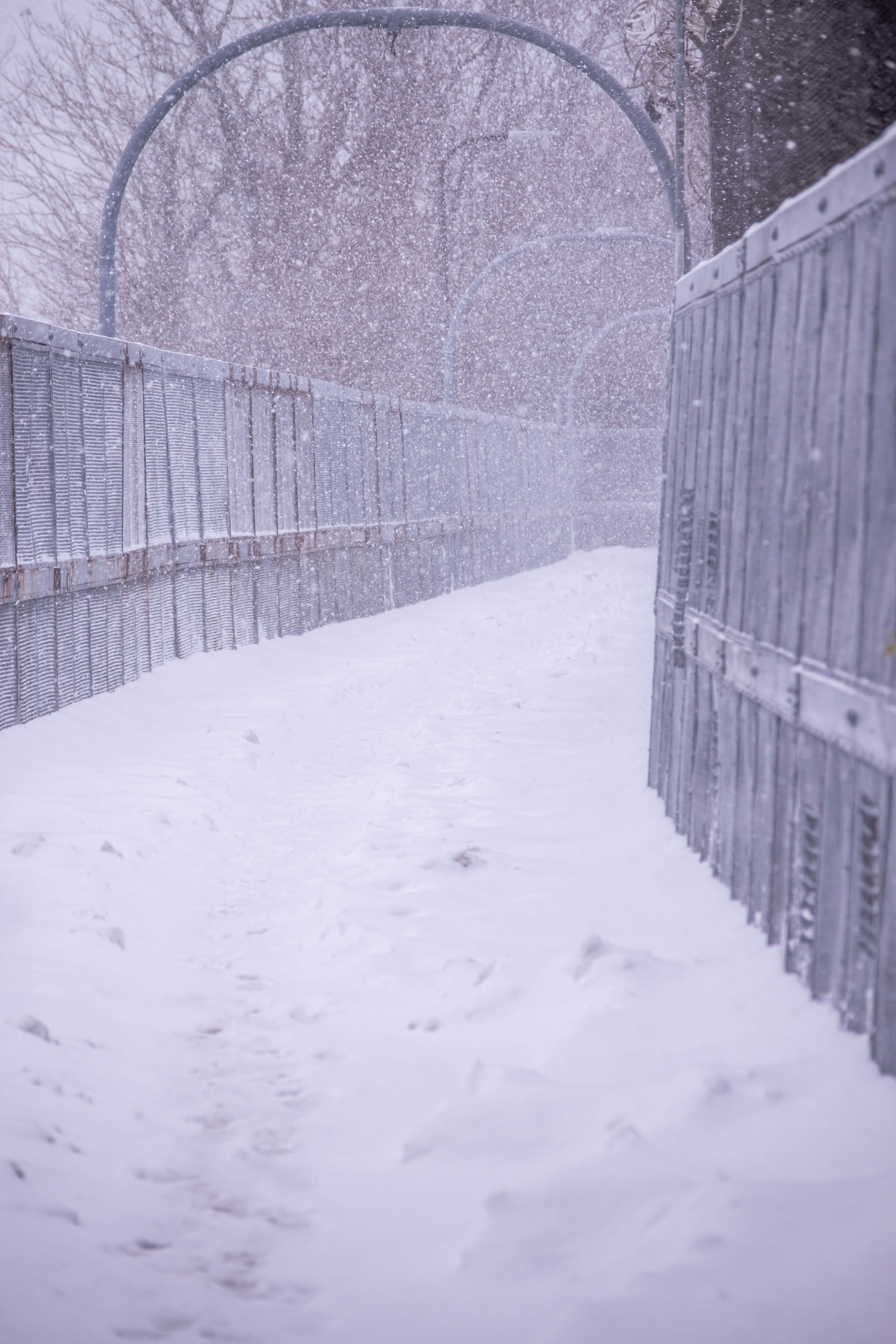 Snow-covered path flanked by a metal fence, enveloped in a gentle snowfall that blurs the surroundings.