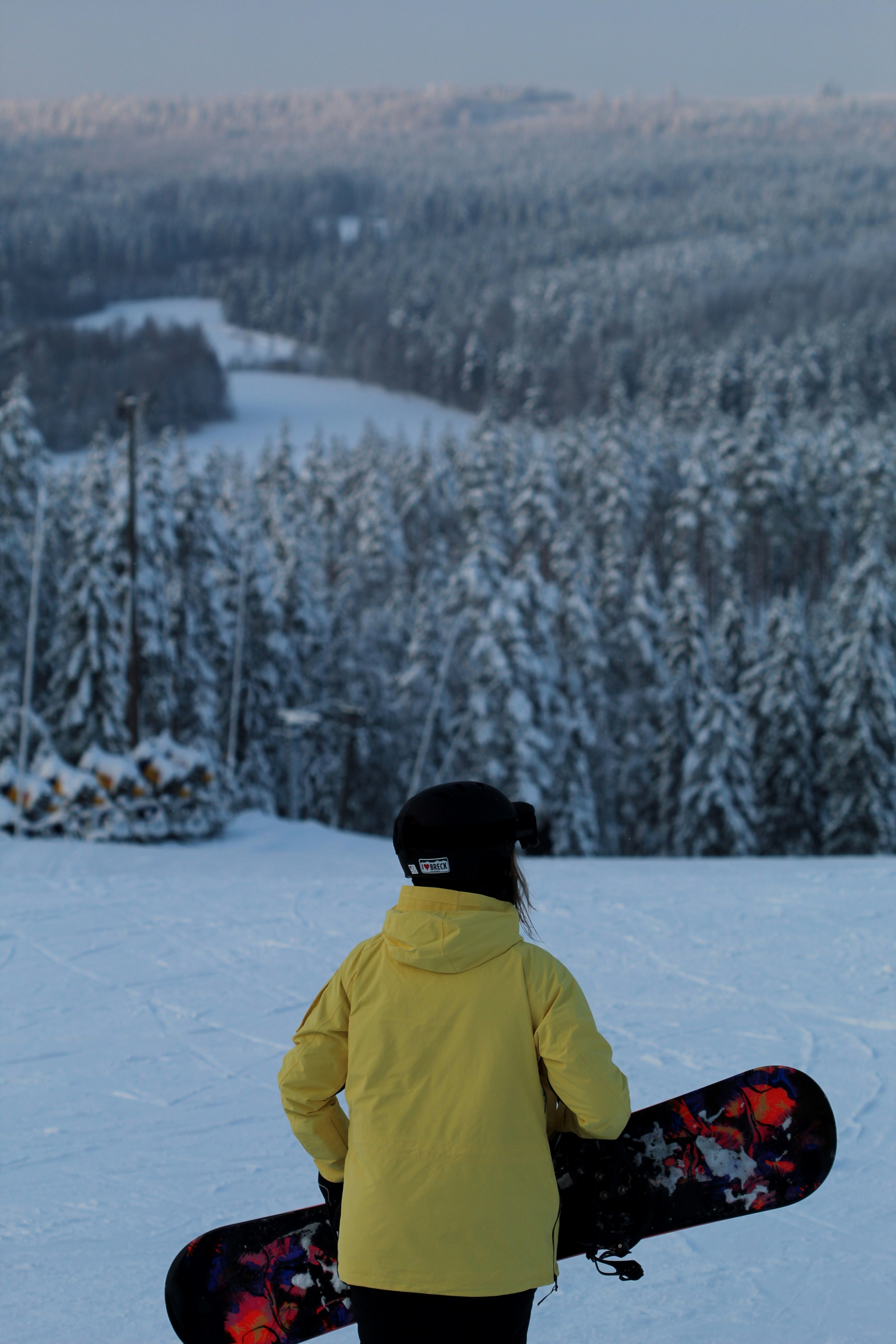 Yellow-jacketed snowboarder faces a frost-kissed pine forest from a snowy overlook