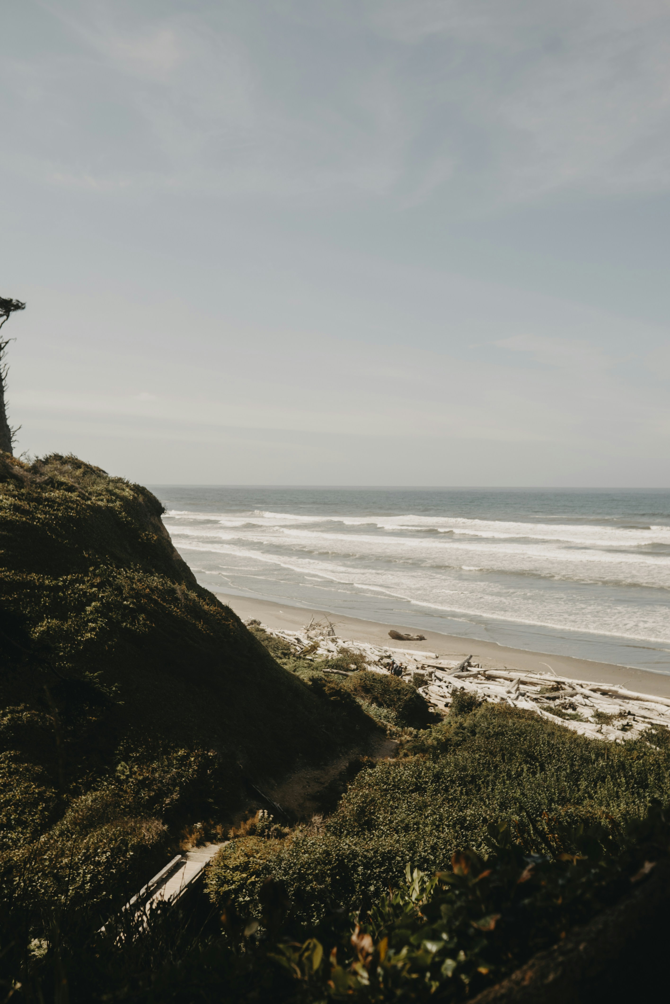 Cliffside Vista: Green Dunes Framing a Quiet Beach