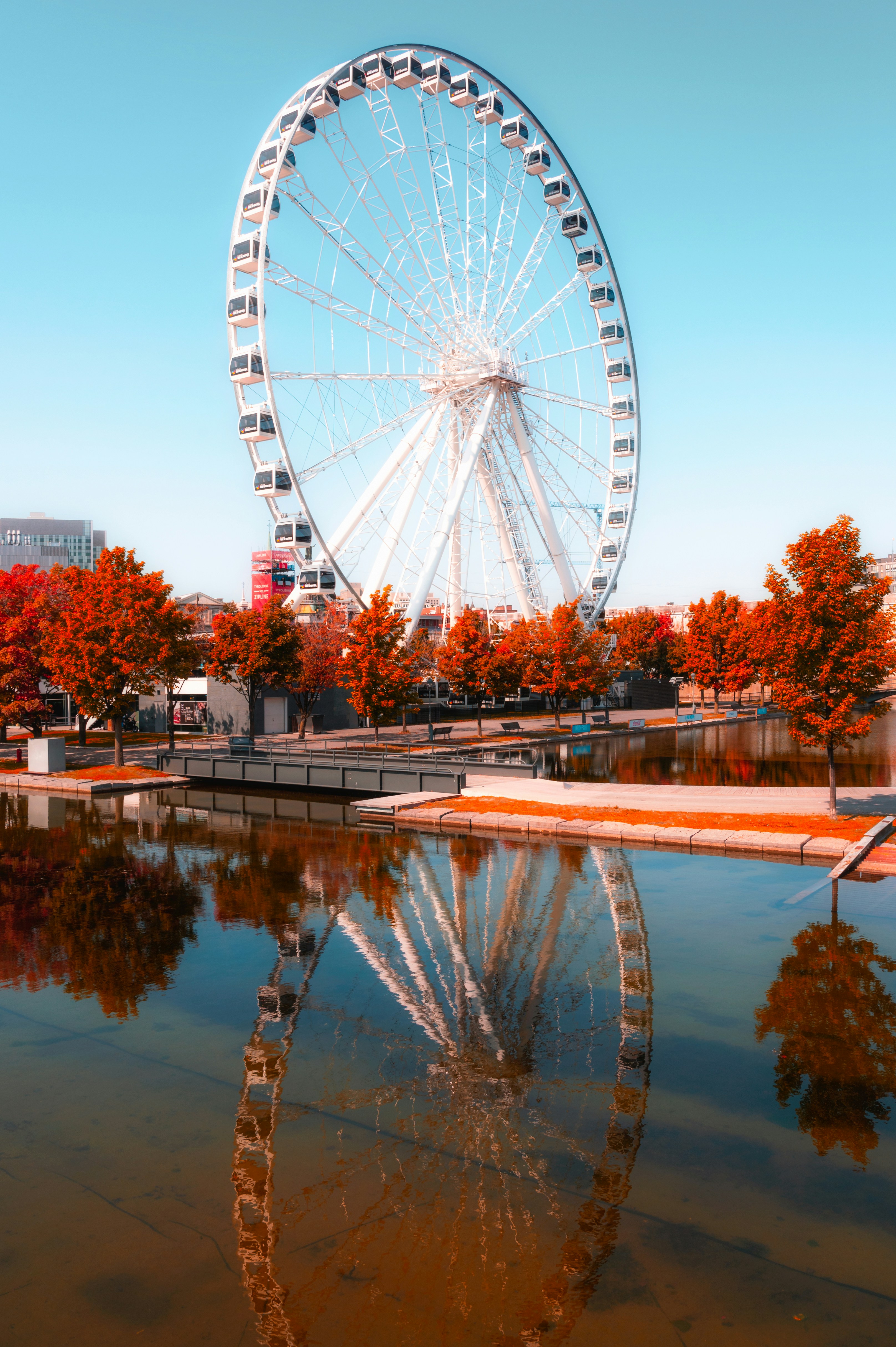 white ferris wheel near body of water during daytime