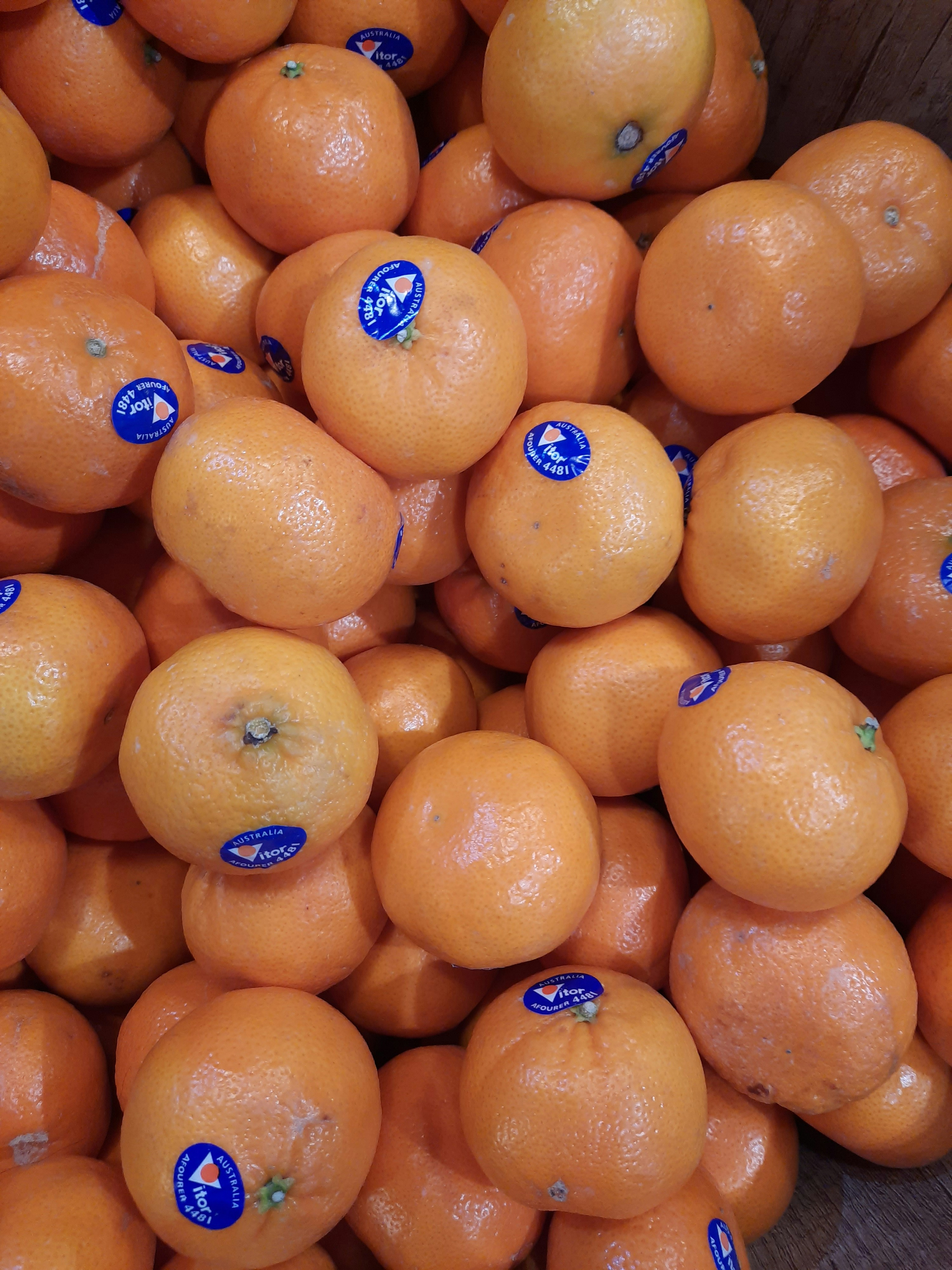 A vibrant collection of oranges, each adorned with a small blue sticker, creating a visually appealing display in a market setting.