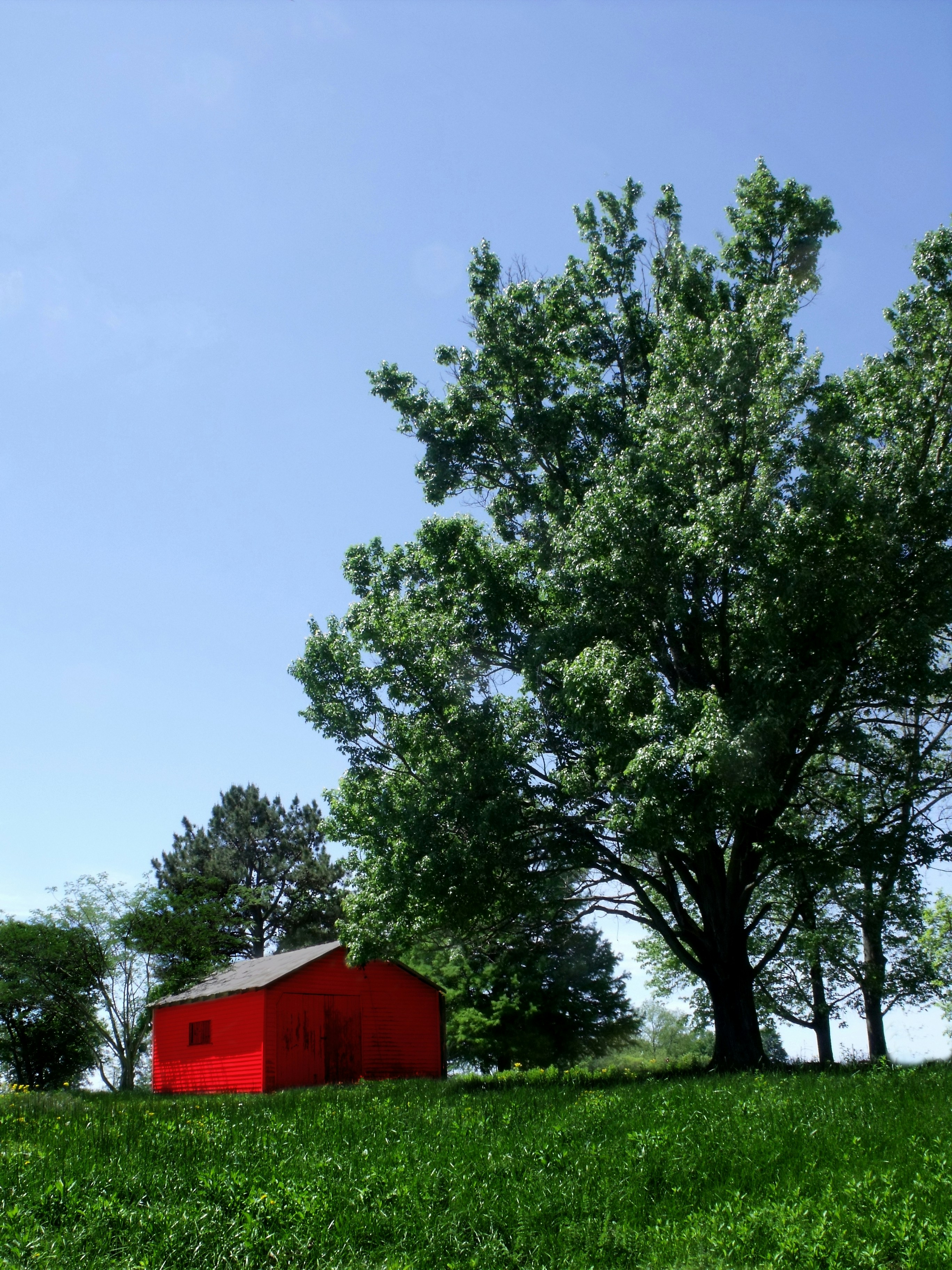 Sample photo from Fujifilm FinePix S1500