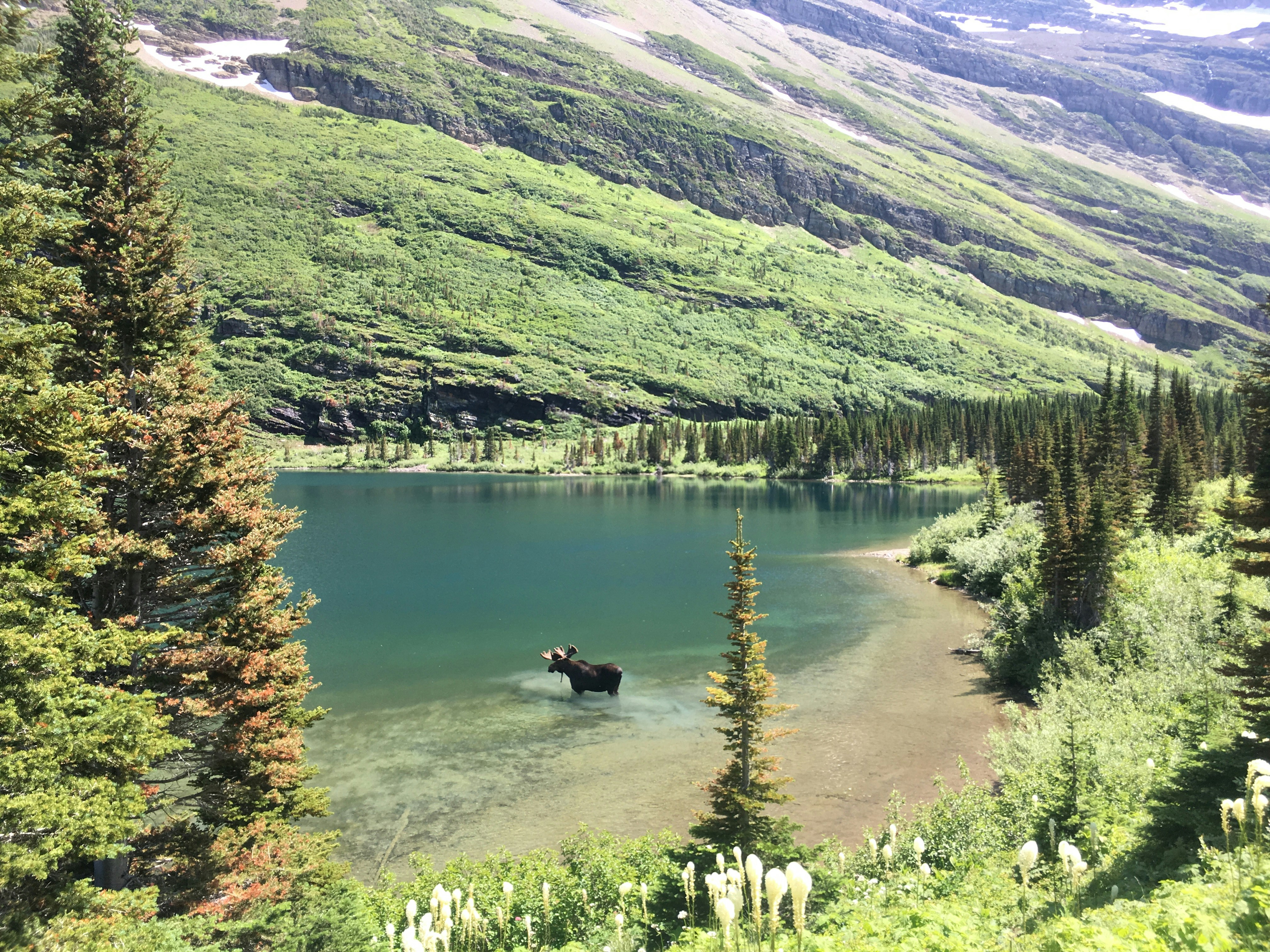 Serenity at the Alpine Lake