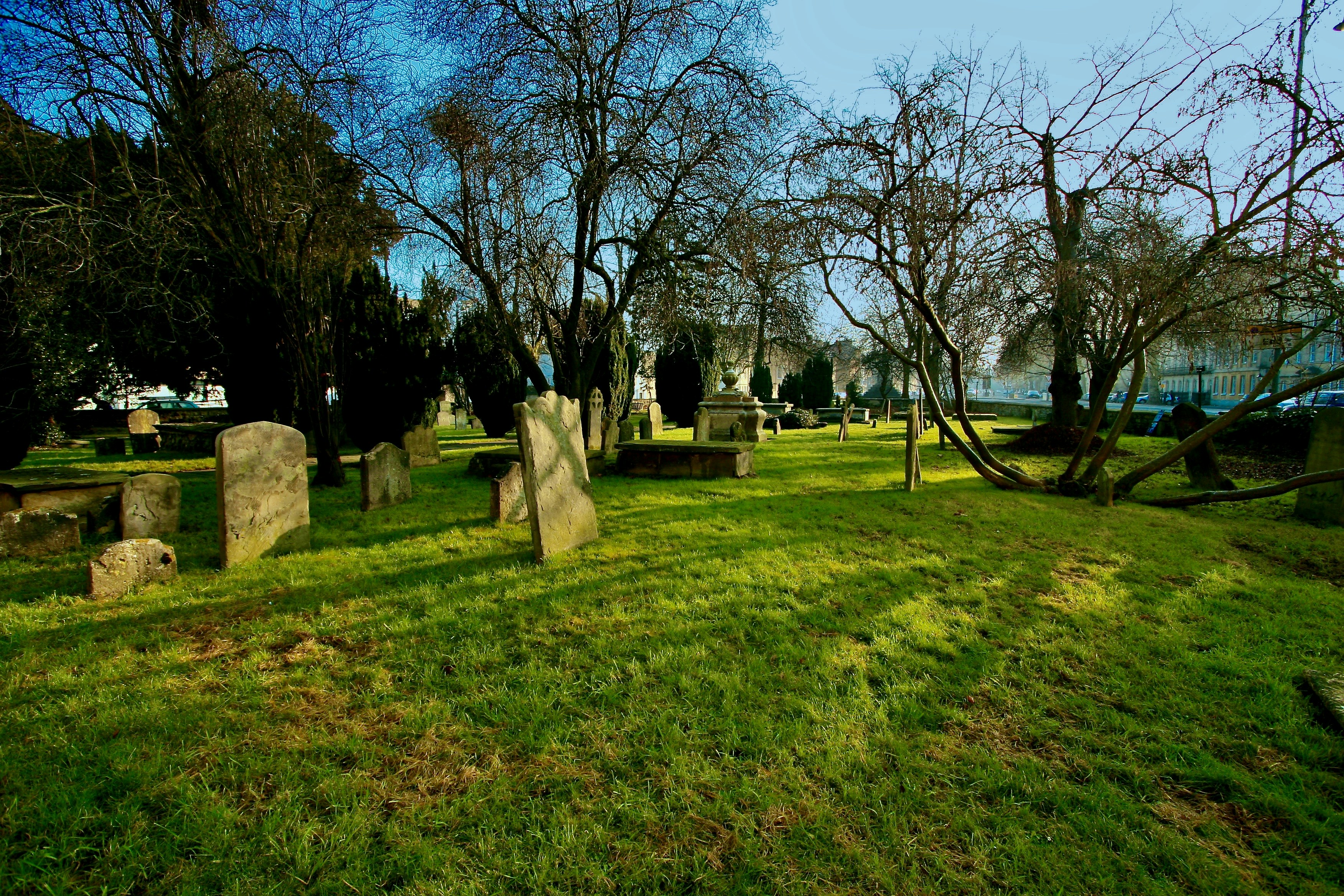 Ancient gravestones nestled among leafless trees in a tranquil cemetery, bathed in soft sunlight. The scene evokes a sense of history and reflection.