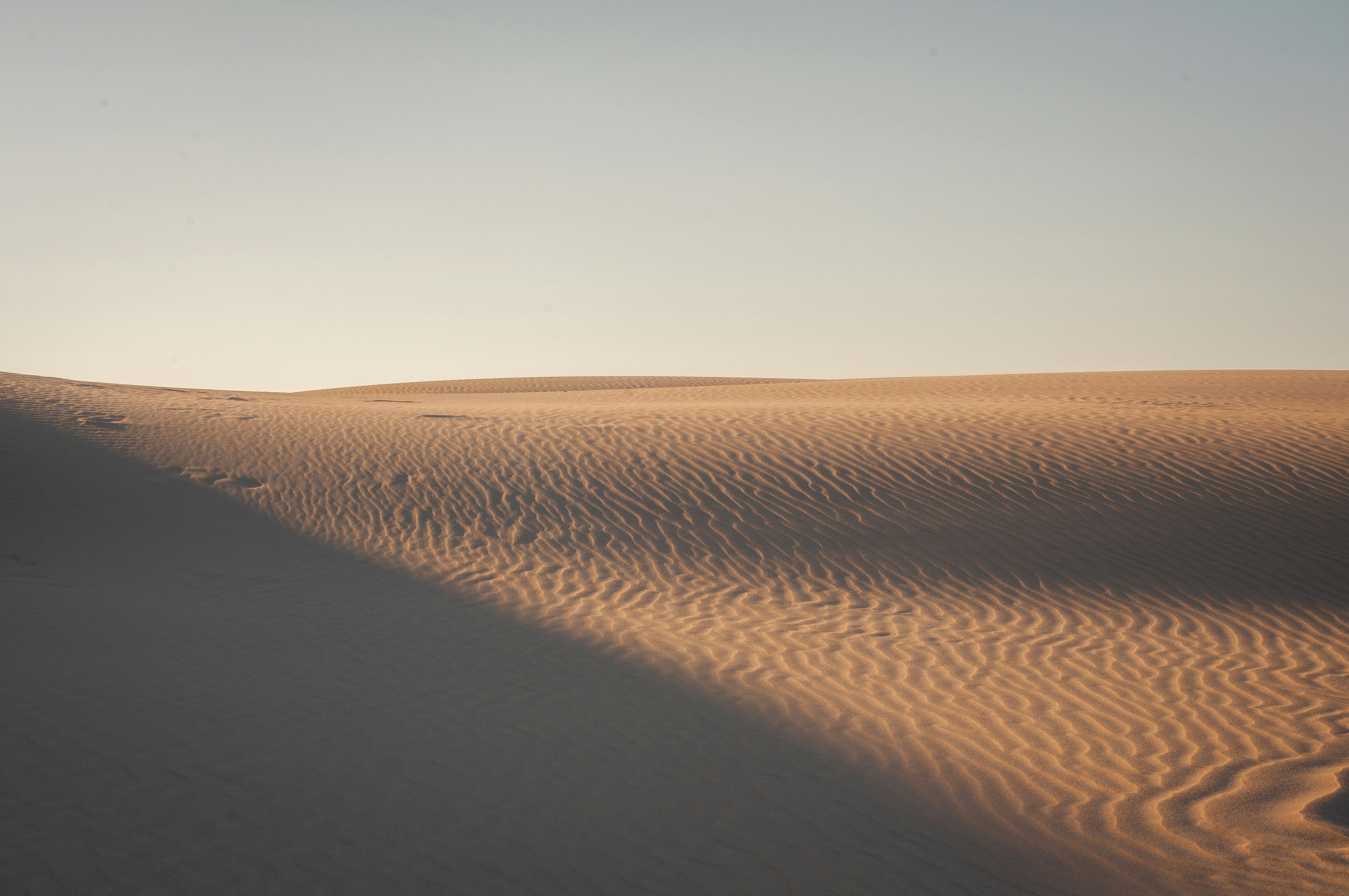 Gentle ripples of sand stretch across the desert landscape under a soft sky. The interplay of light and shadow creates a serene atmosphere.
