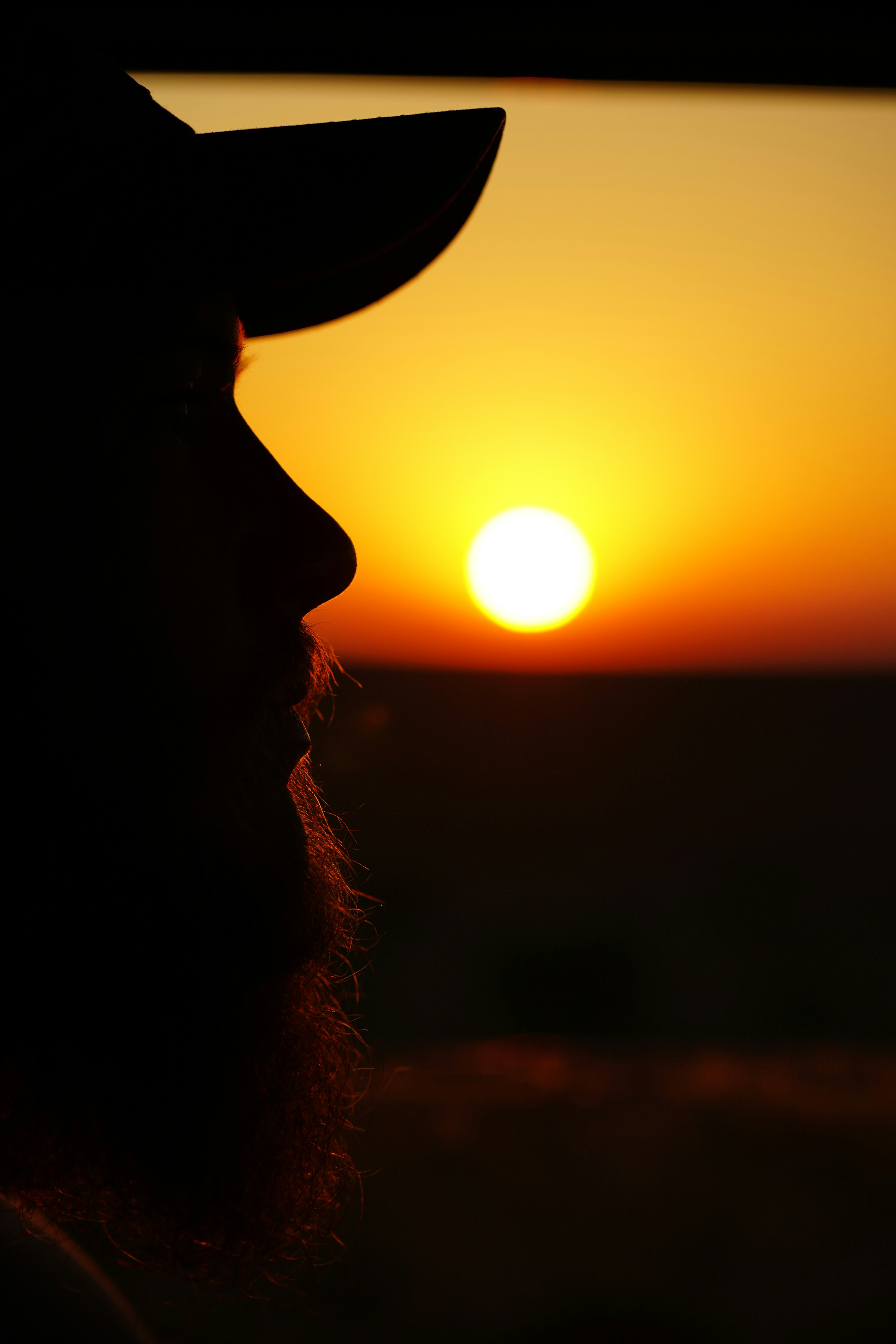 Bearded Horizon: A Silhouette Profile Against the Sunset