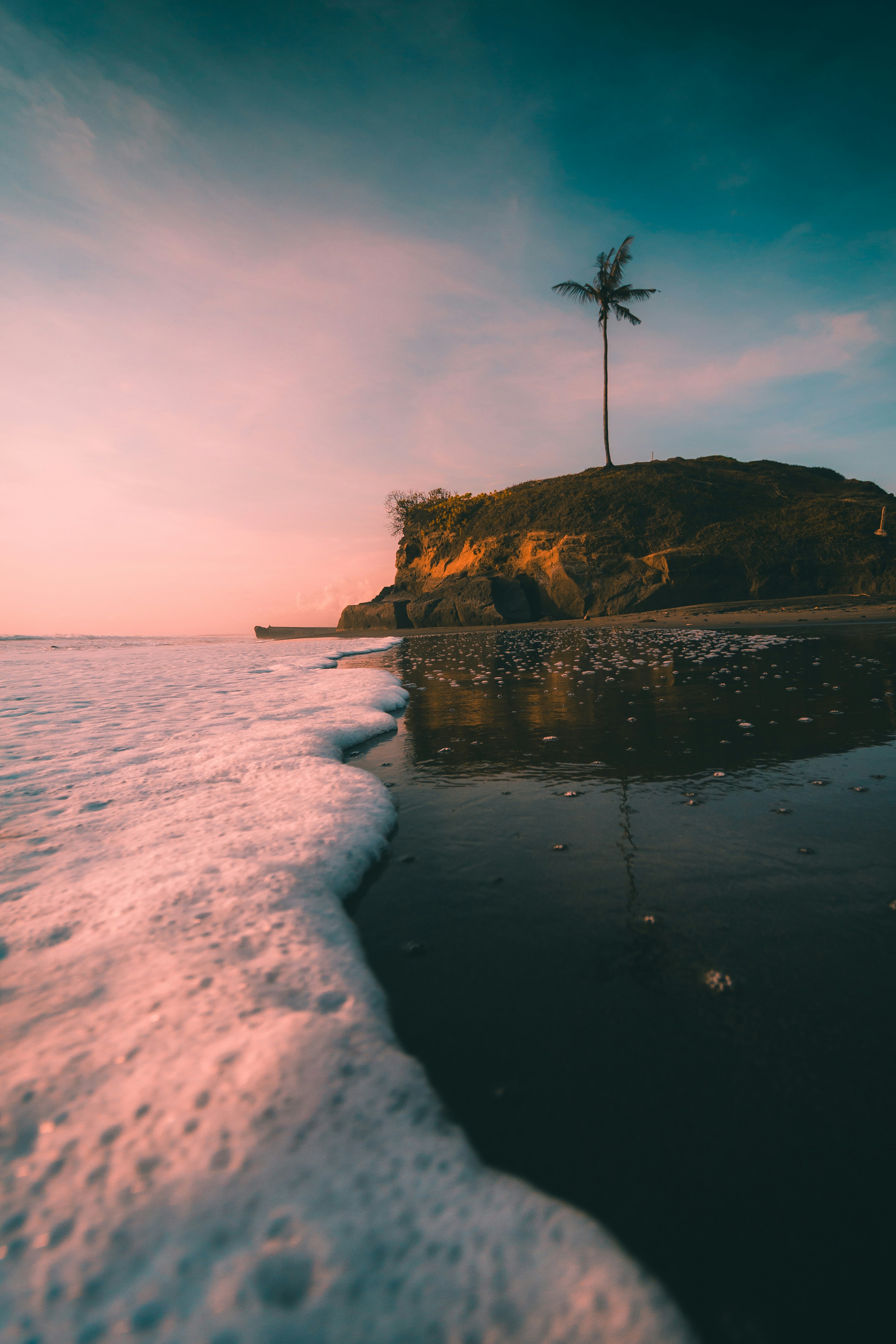 A solitary palm tree stands atop a rocky outcrop as gentle waves lap at the sandy beach during twilight. The soft colors of the sky reflect the tranquility of the scene.