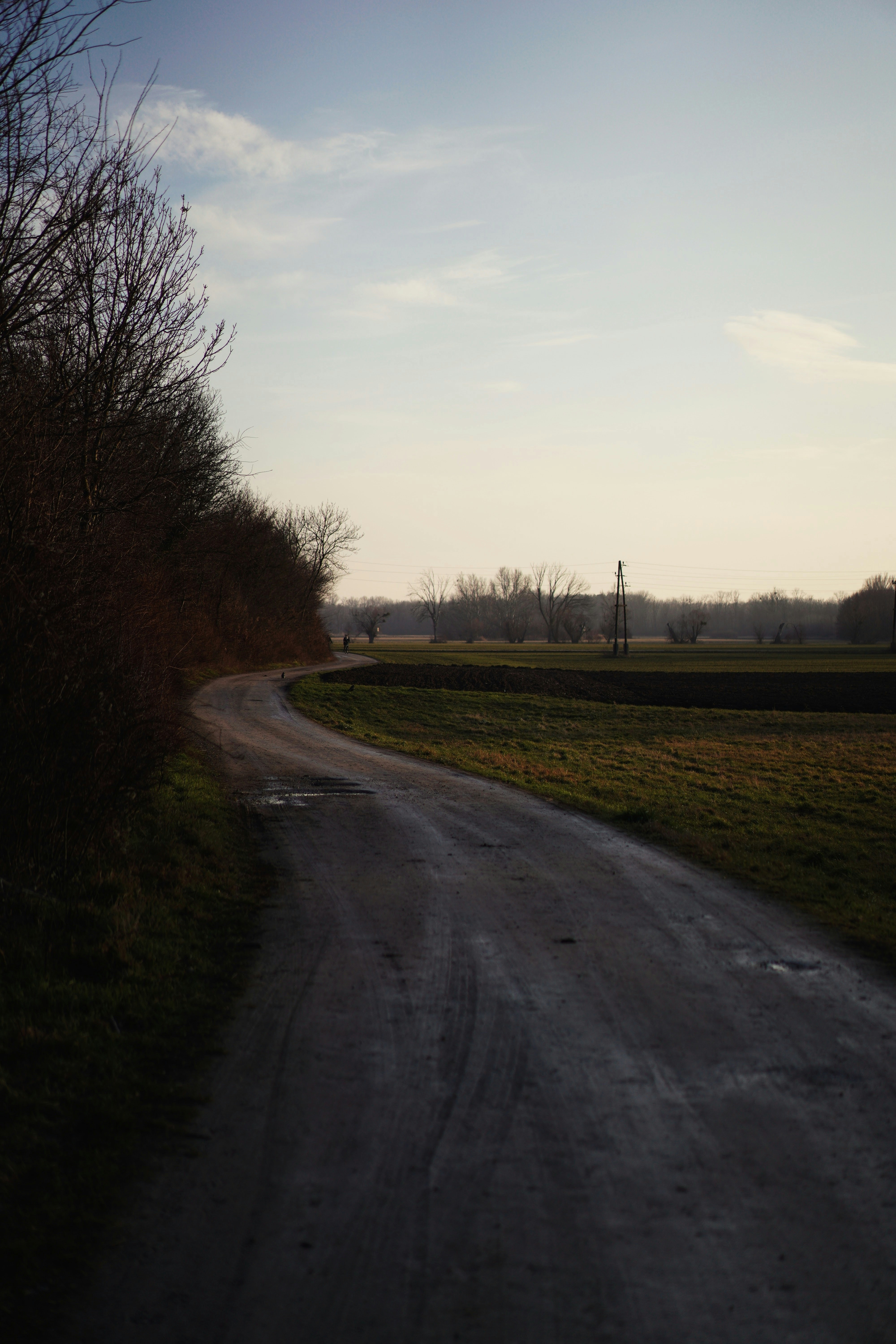 Curved dirt road bordered by trees, leading into serene fields under a soft sky. A solitary power pole stands in the distance.
