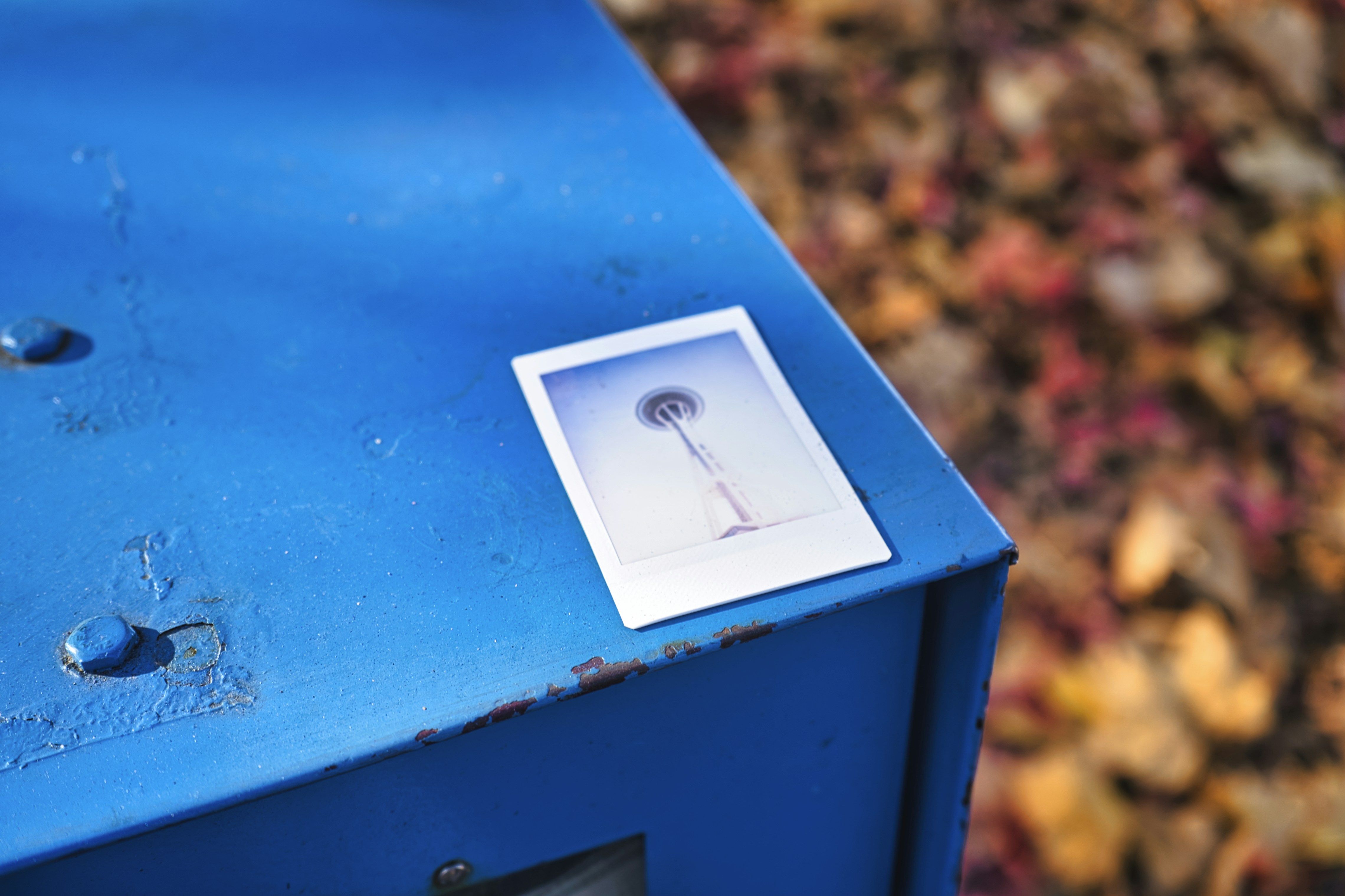 Polaroid Pause on a Weathered Blue Mailbox Against Autumn's Quiet Palette