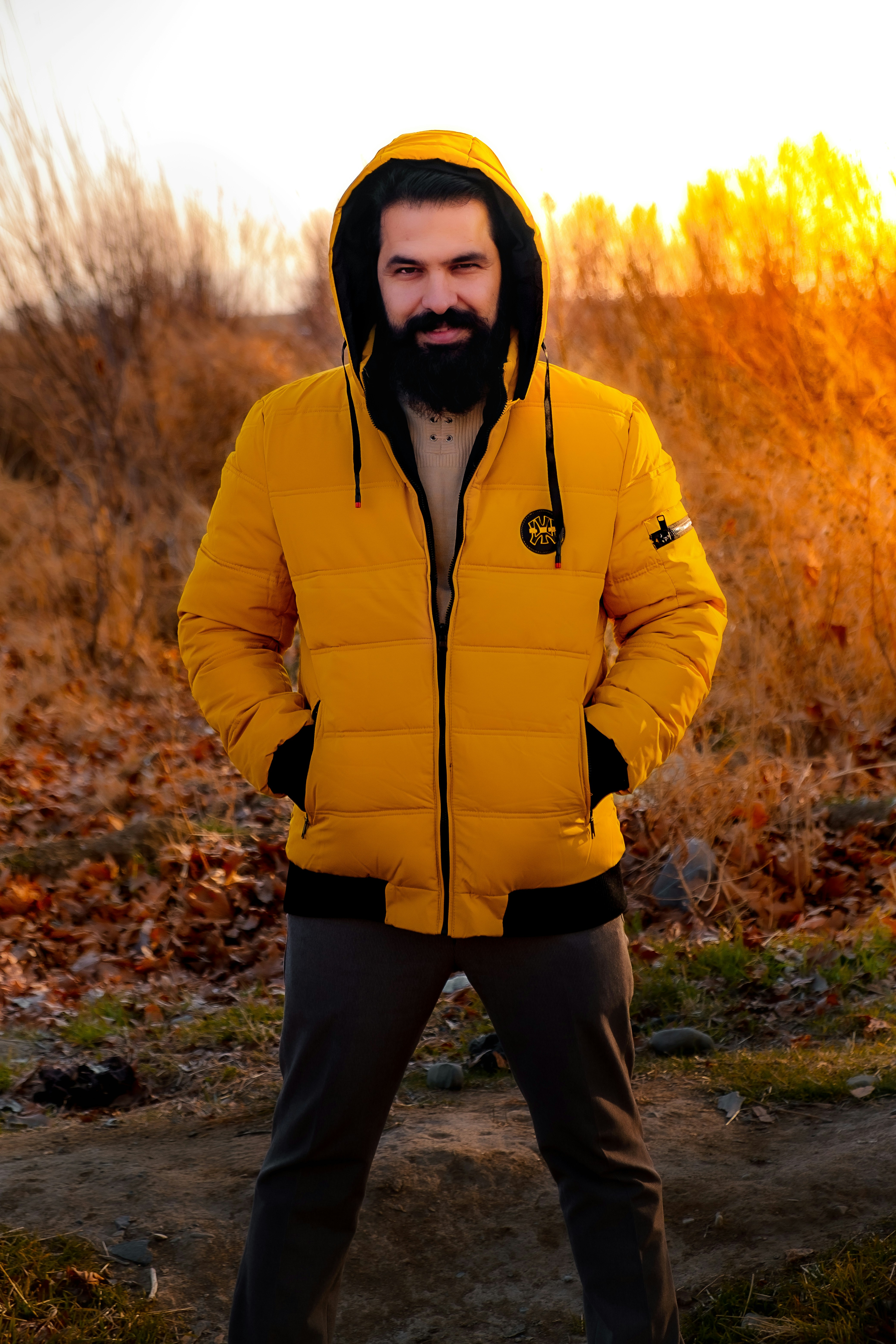 Amber Sentinel in an Autumn Field