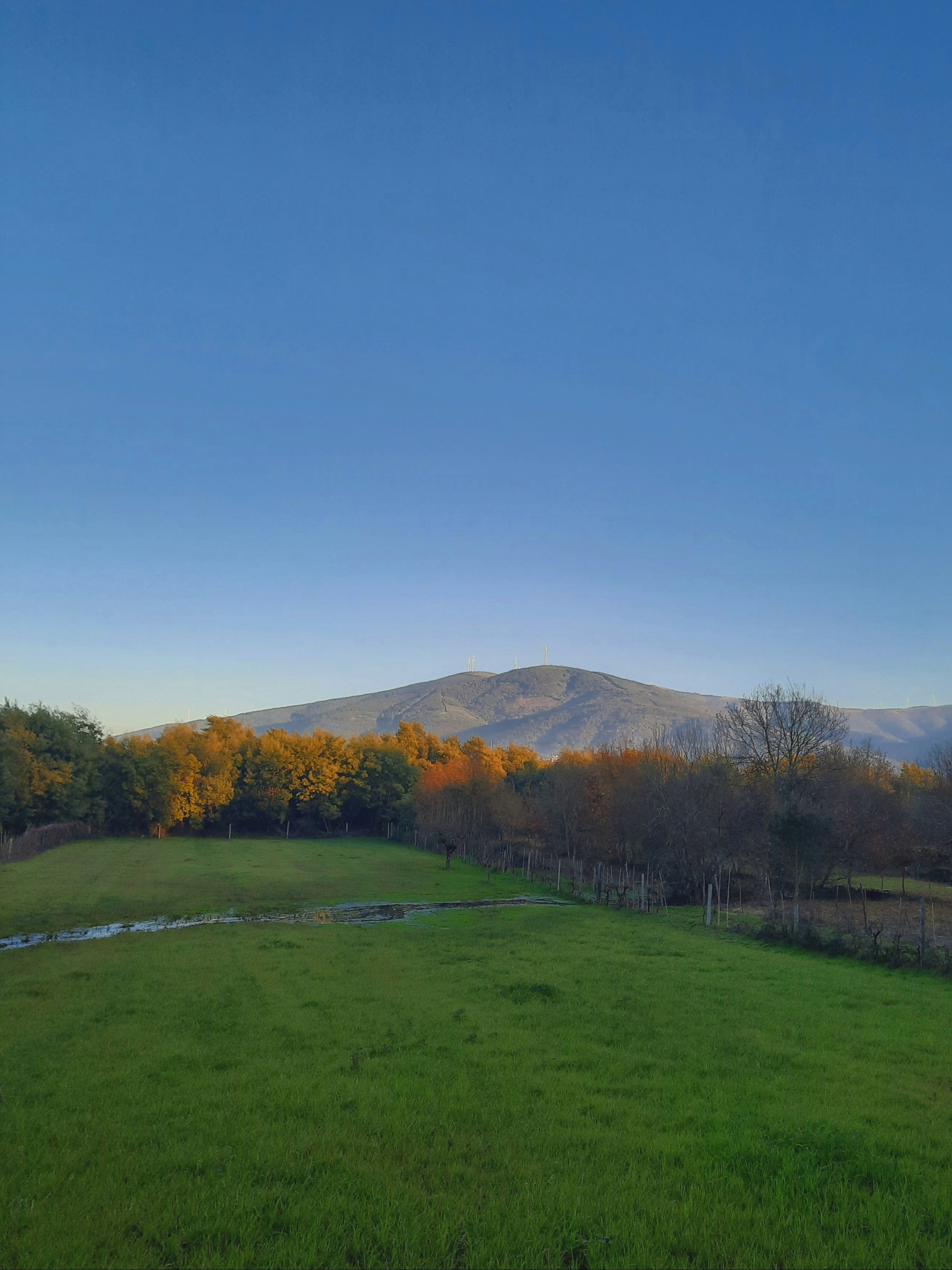 José Marques (@jose_marques98) | Unsplash Photo Community