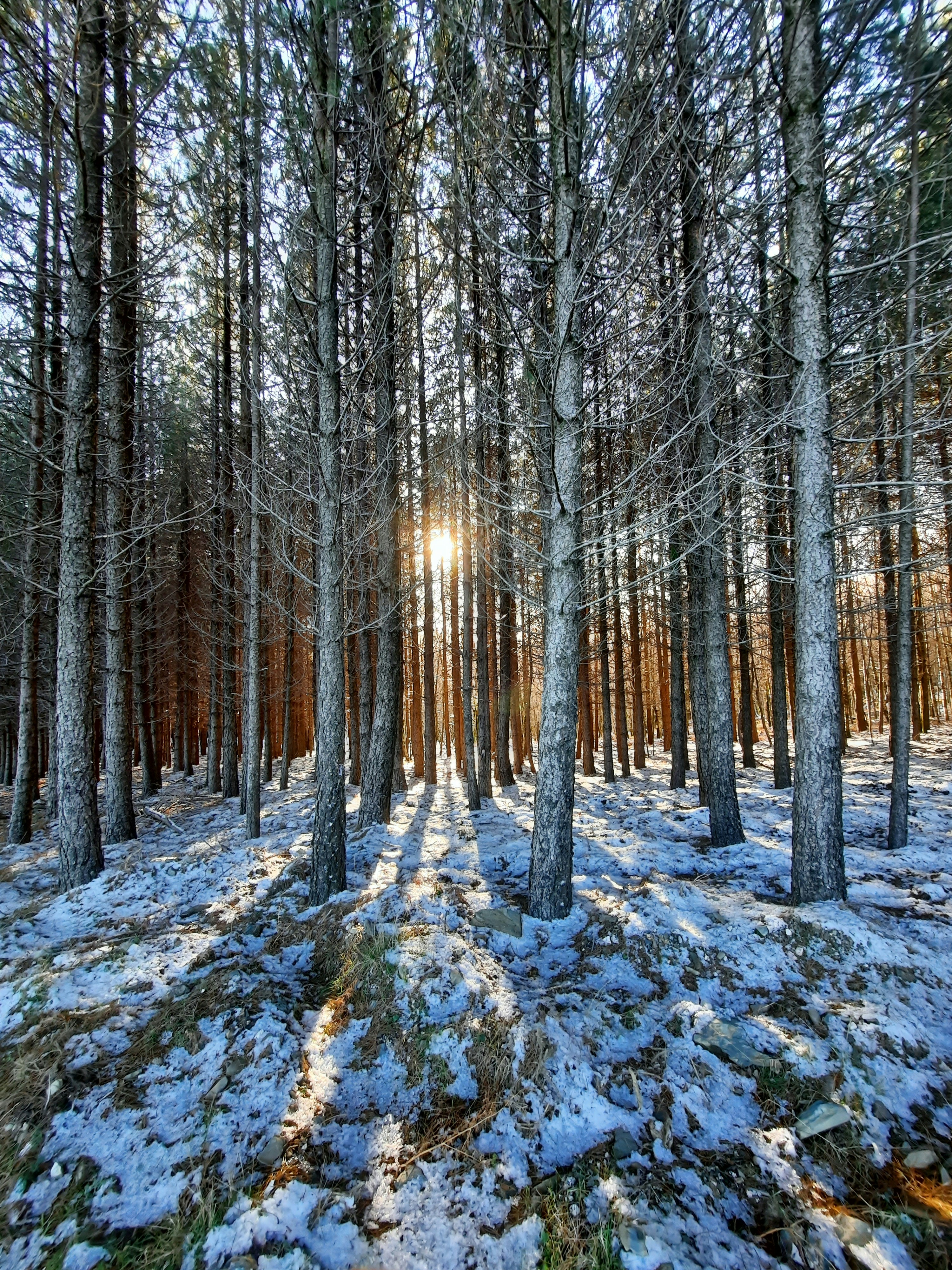 José Marques (@jose_marques98) | Unsplash Photo Community