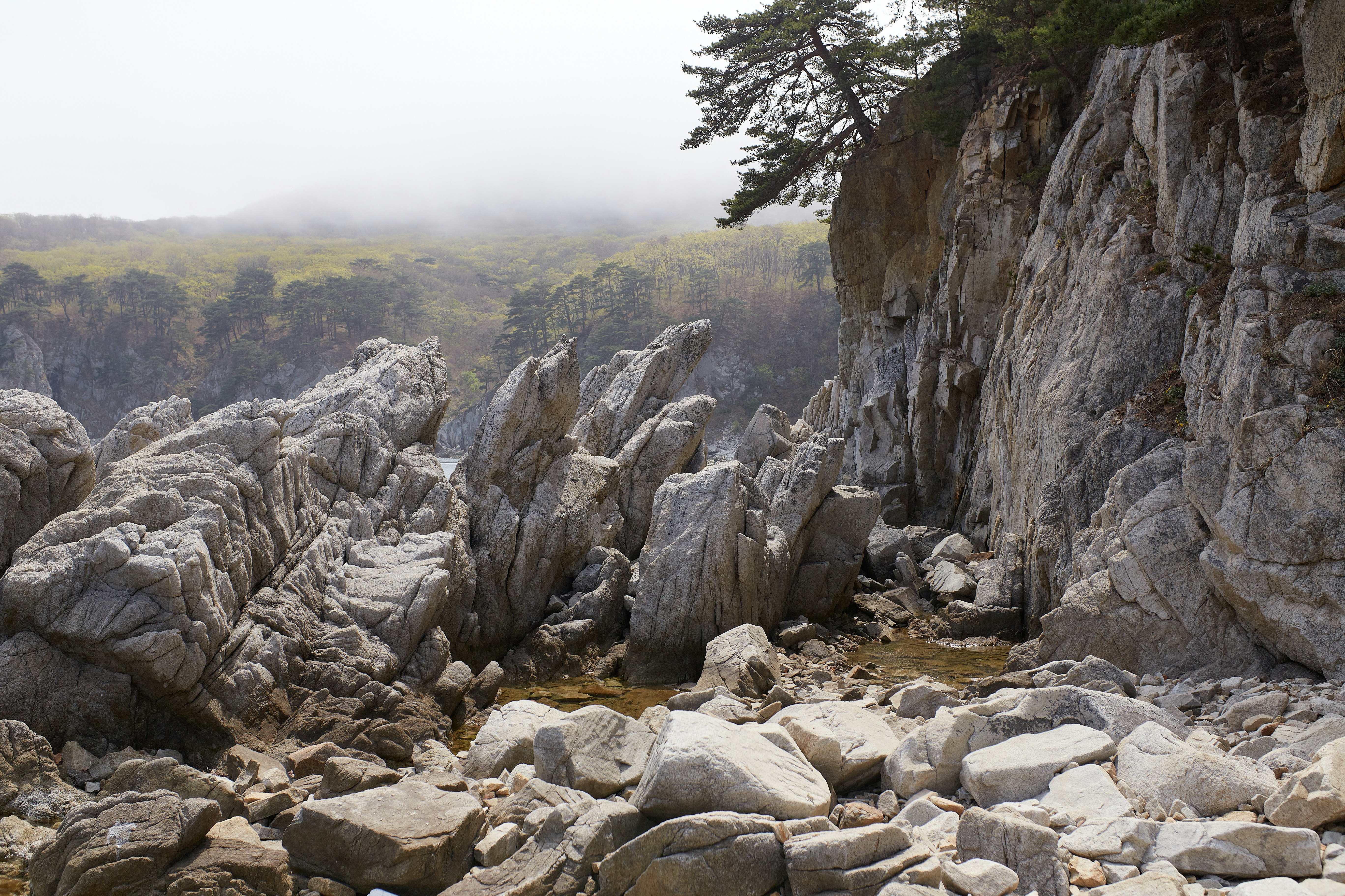 Whispers of Ancient Stone