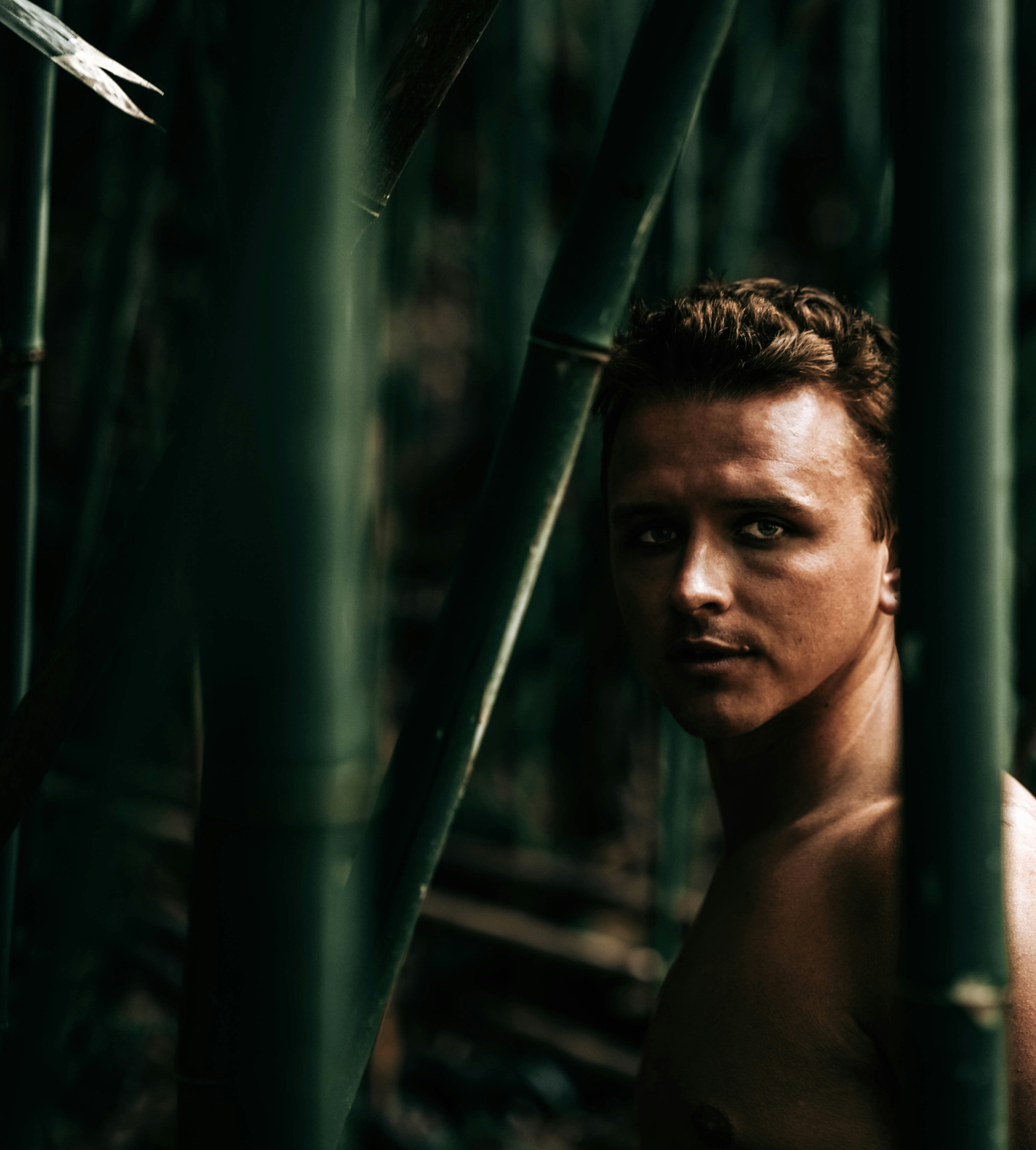 A young man gazes intently from within a dense bamboo grove, highlighting the contrast between his skin tone and the surrounding greenery.
