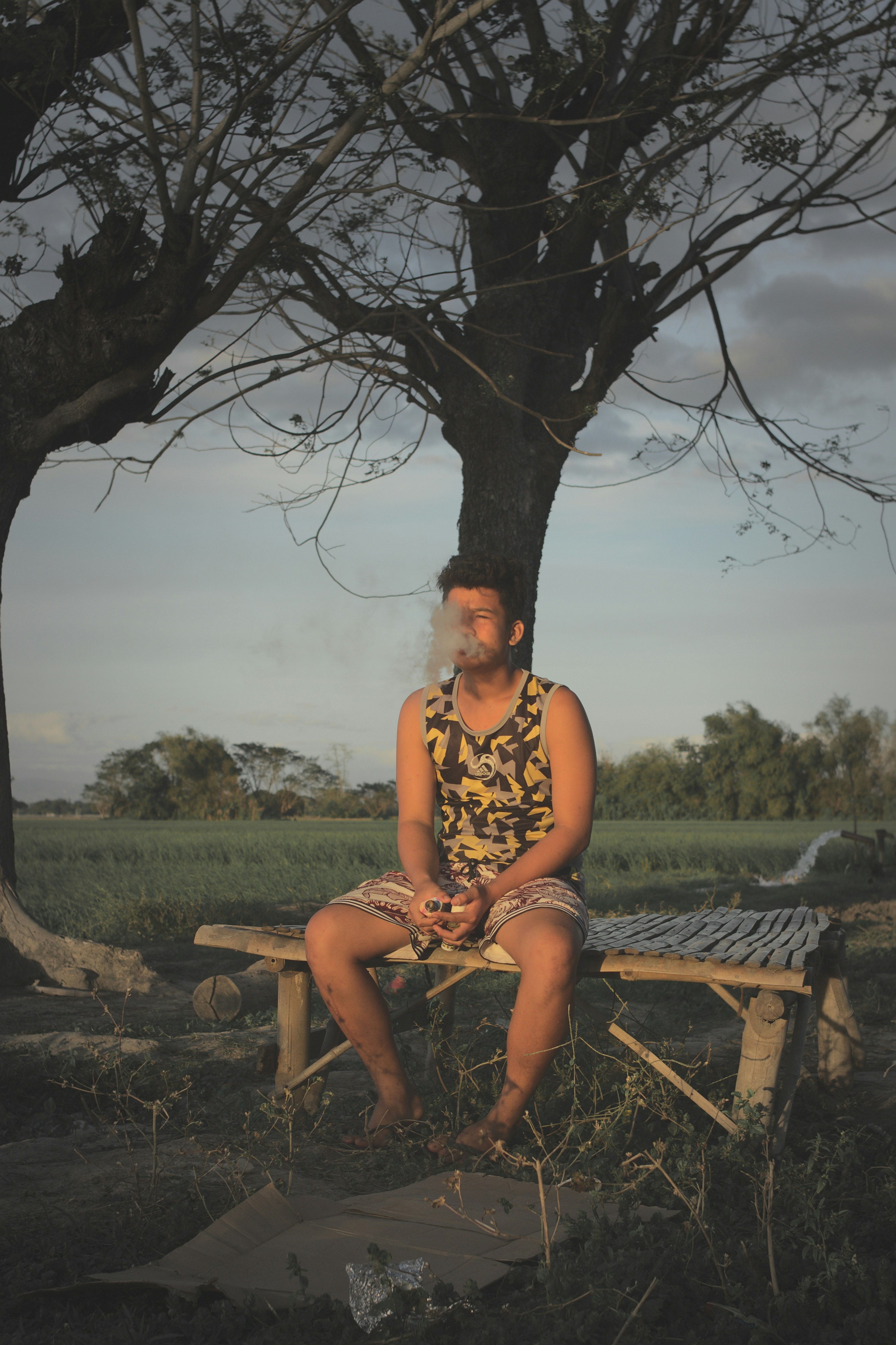 Smoke and Stillness: A Quiet Moment Under the Tree