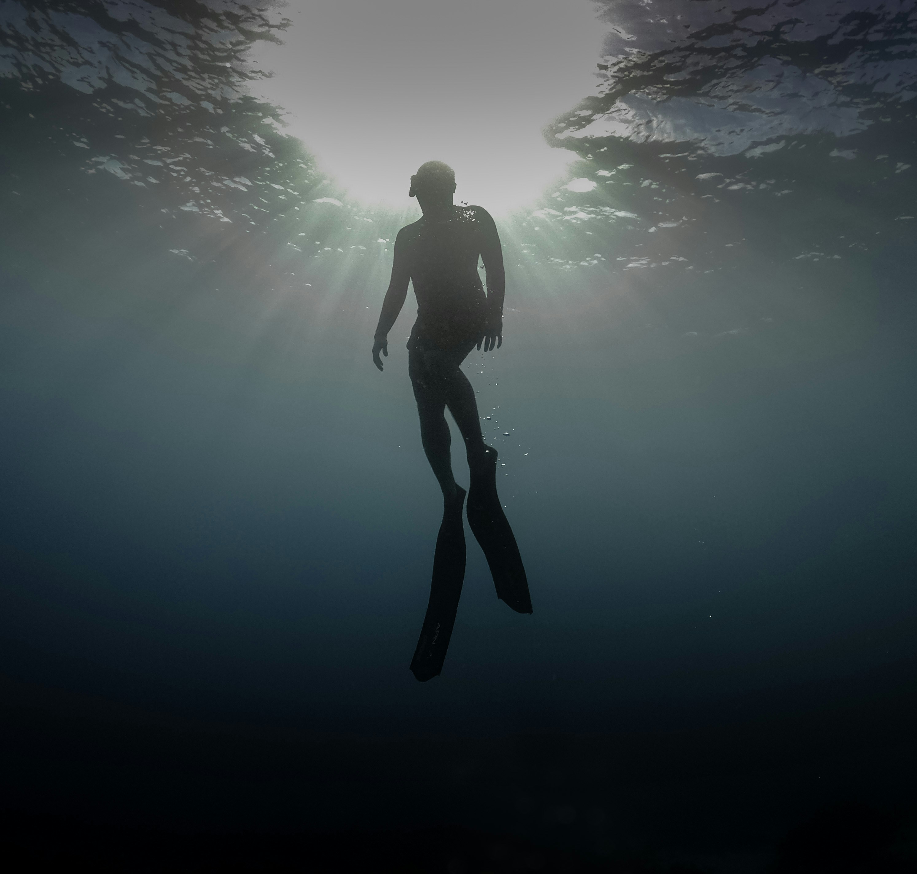 500+ Free Diving Pictures | Download Free Images on Unsplash