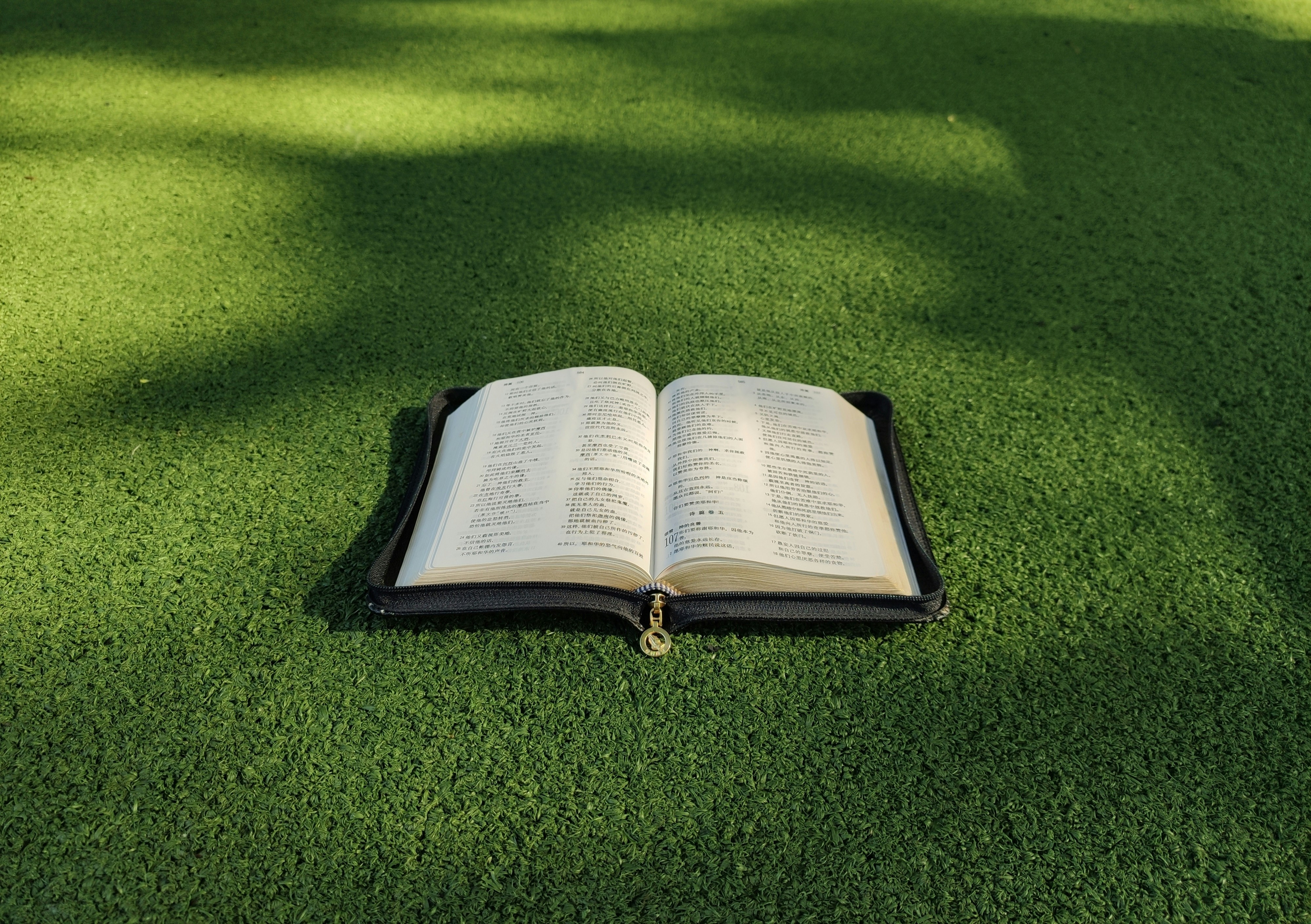 Open Bible on a Sunlit Carpet of Grass
