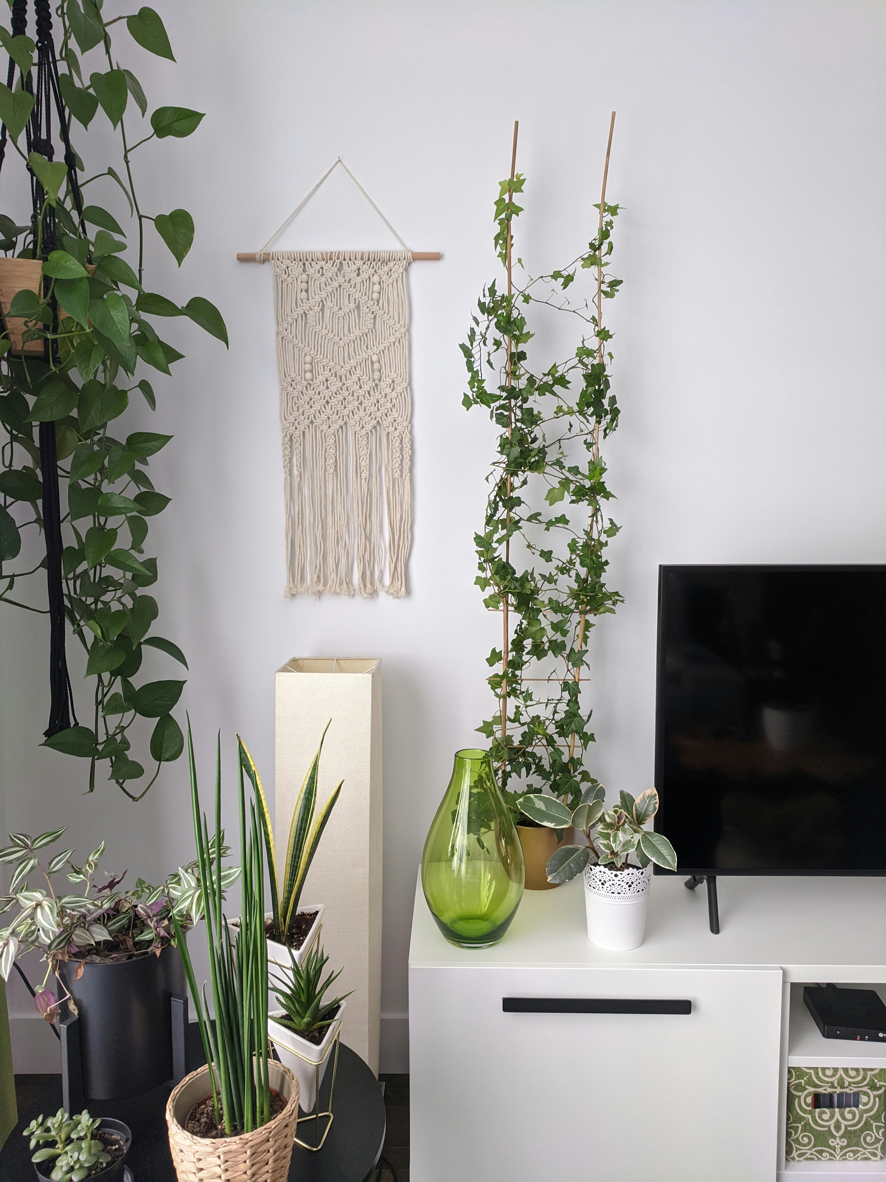 Indoor plants and macramé wall hanging create a tranquil living space, showcasing a blend of nature and modern decor.