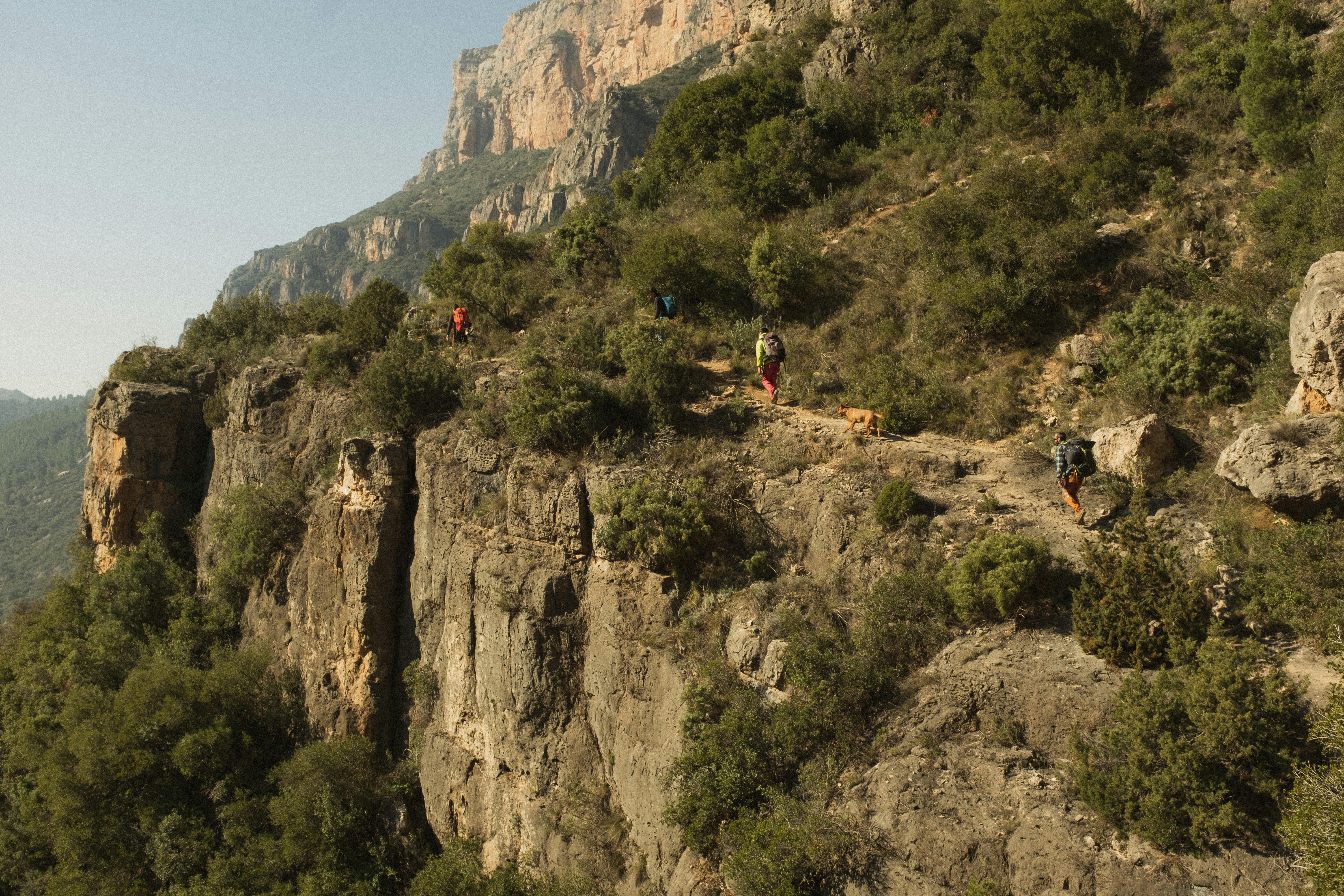 Hikers traverse a rugged cliffside path surrounded by lush greenery and towering mountains in the background.