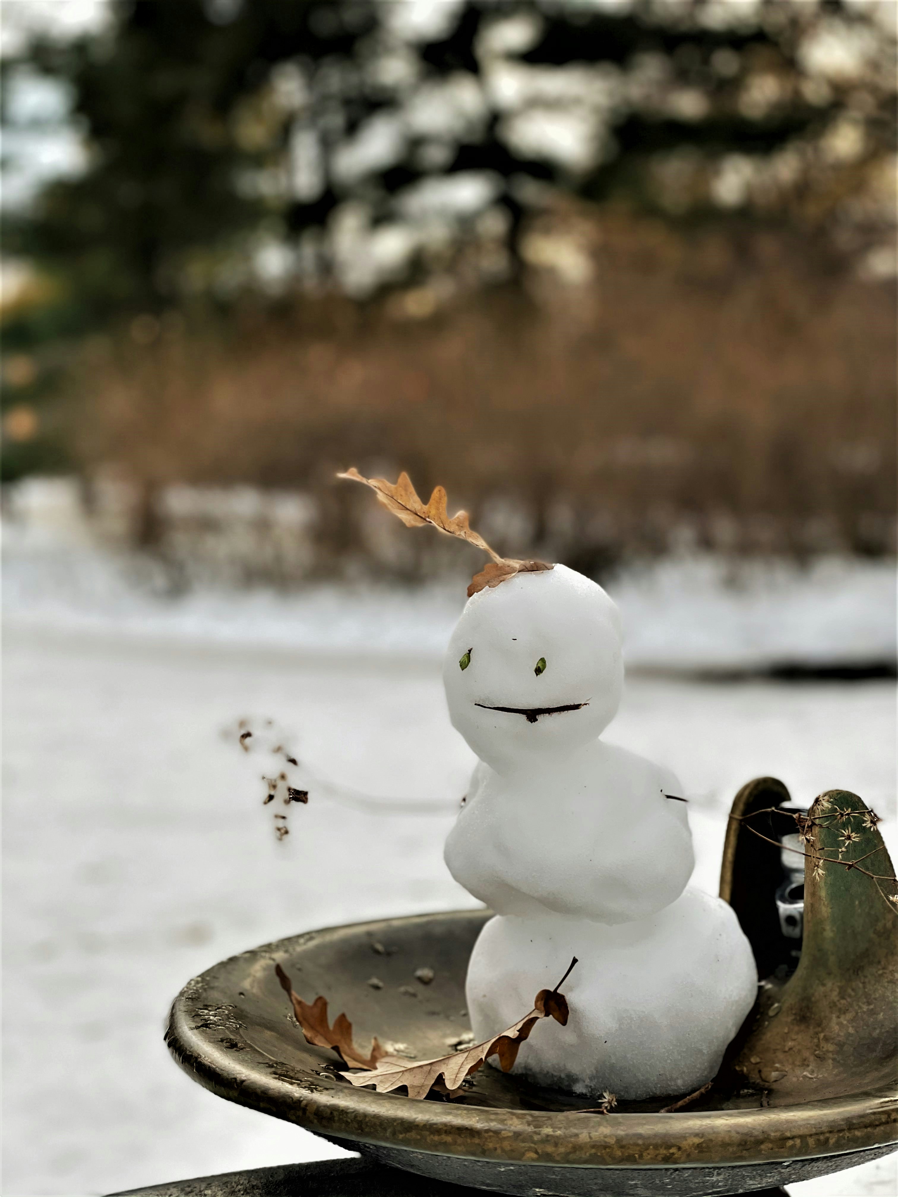 Leaf-Crowned Snowman on a Rustic Plate in a Quiet Winter Field