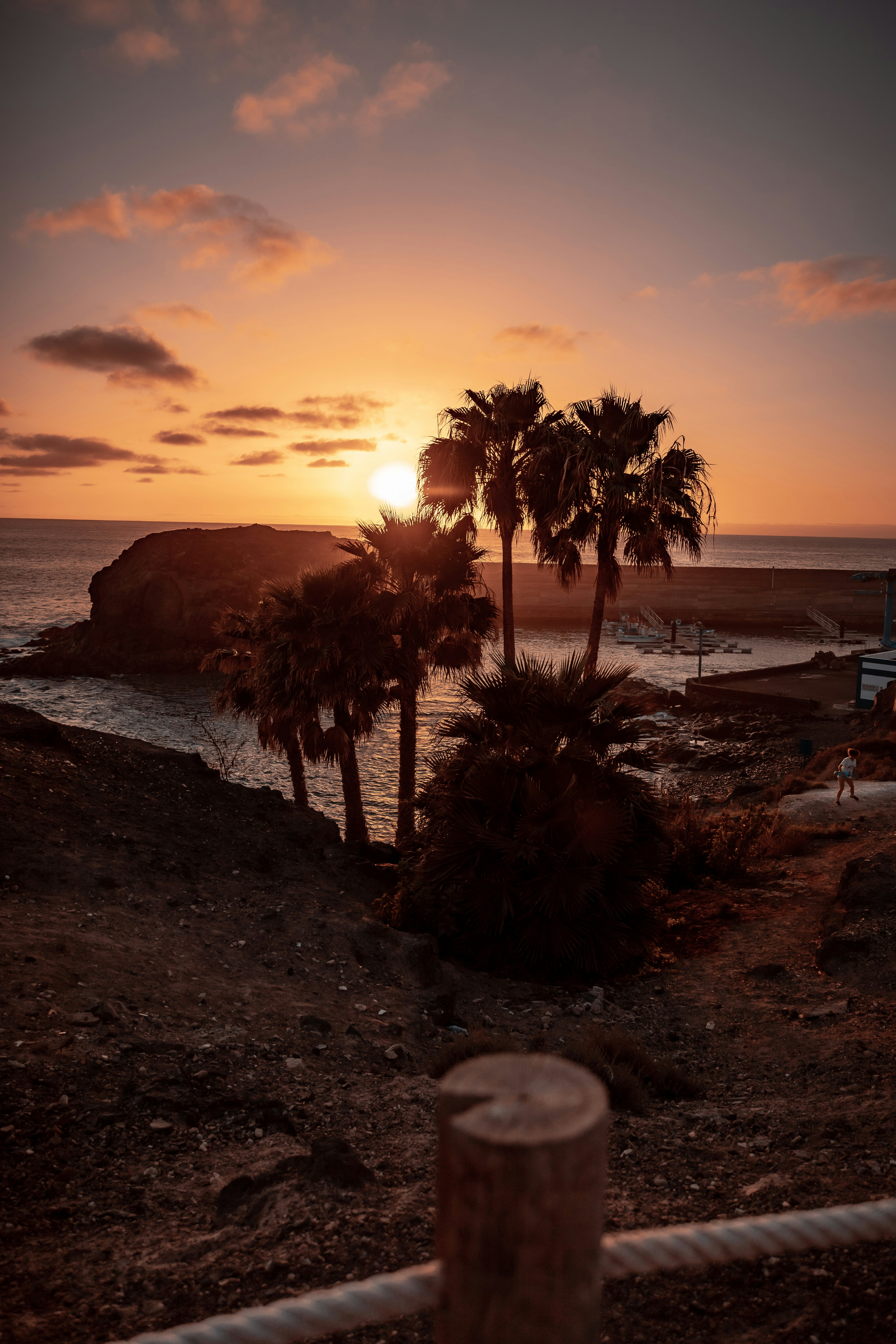 Rope-Framed Sunset Over a Palm-Strewn Rocky Seaboard
