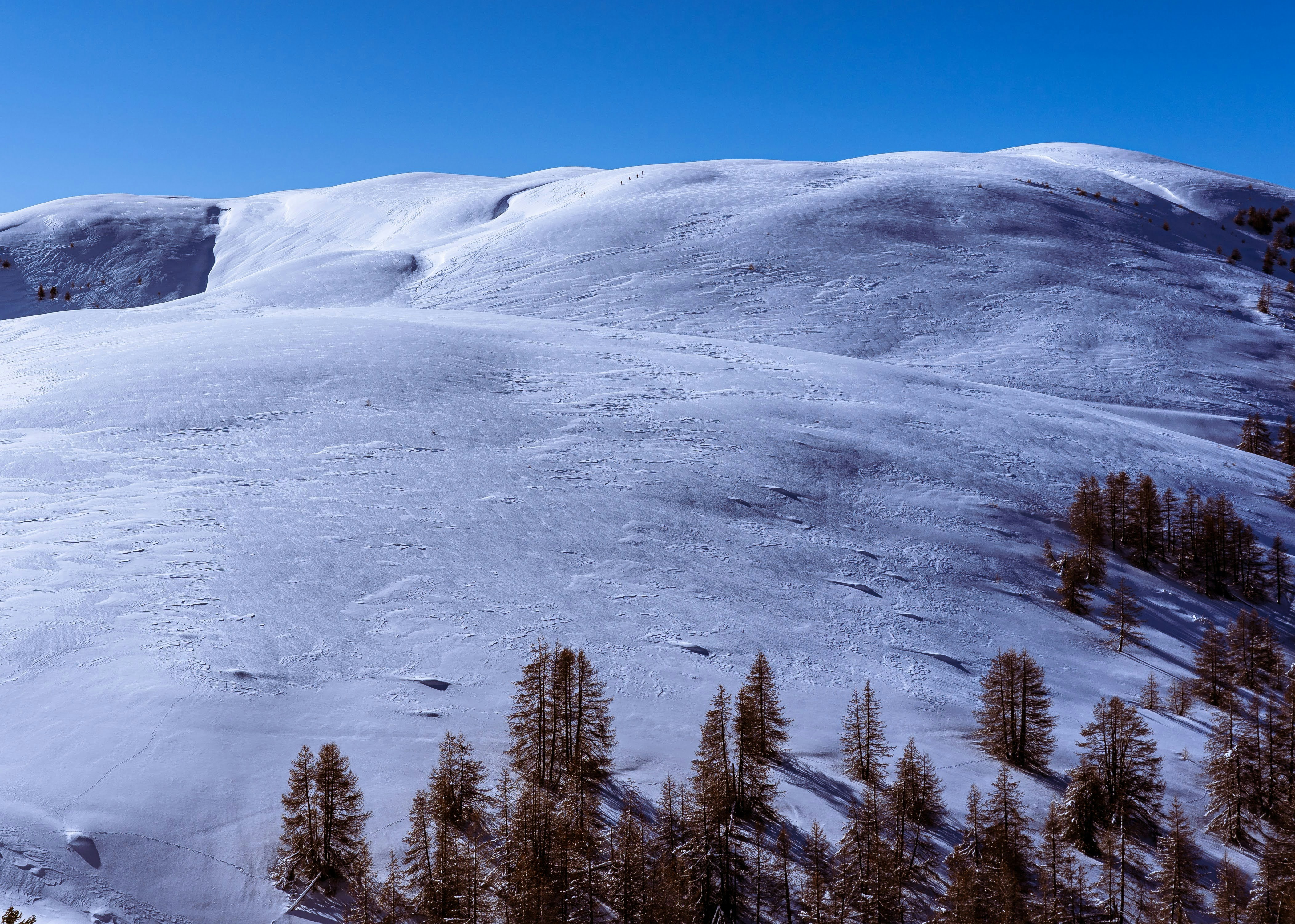 Snow-Wedged Ridge Under a Pristine Alpine Sky