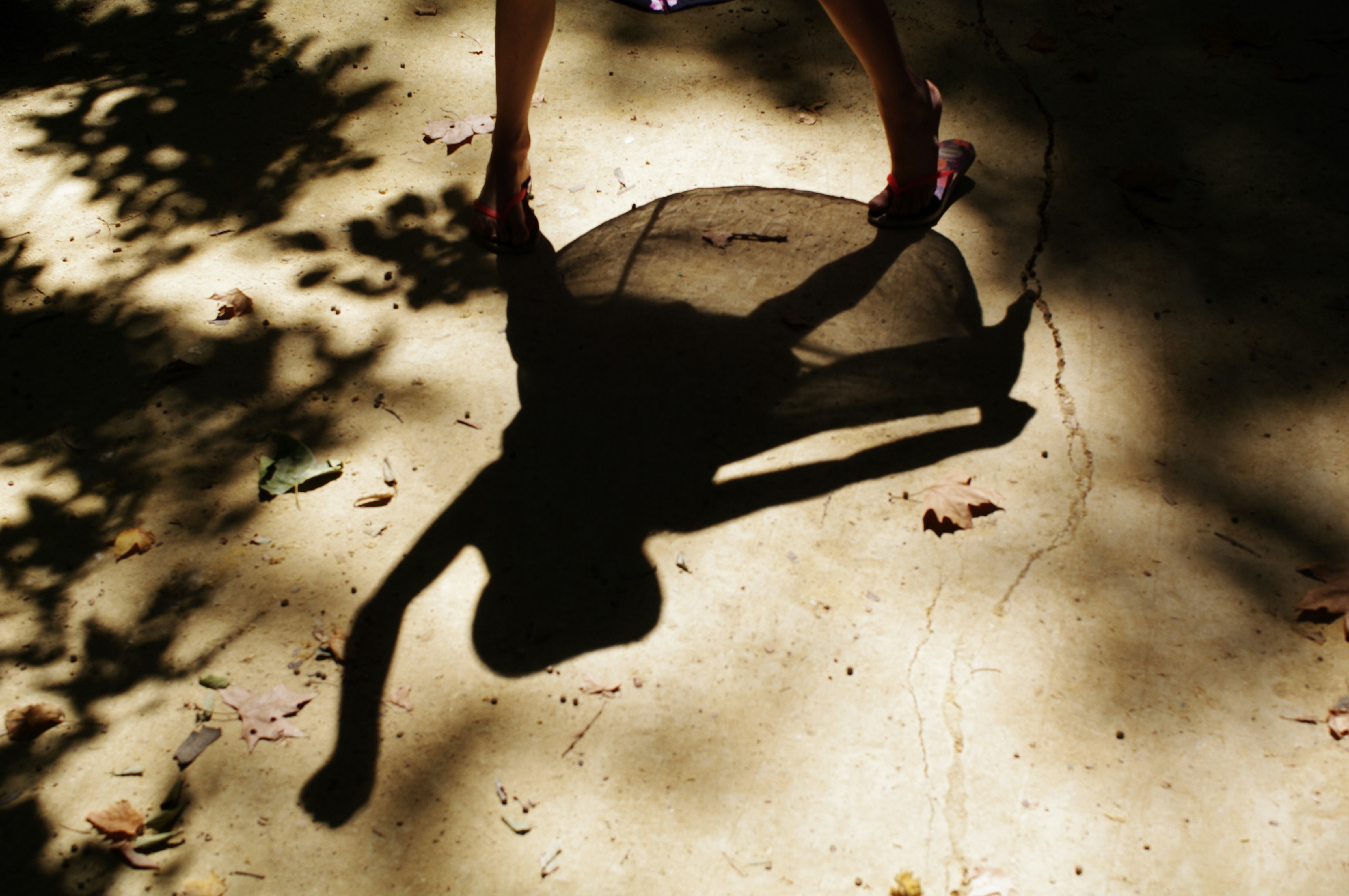 Shadow of a person with outstretched arms on a sunlit pavement surrounded by scattered leaves.