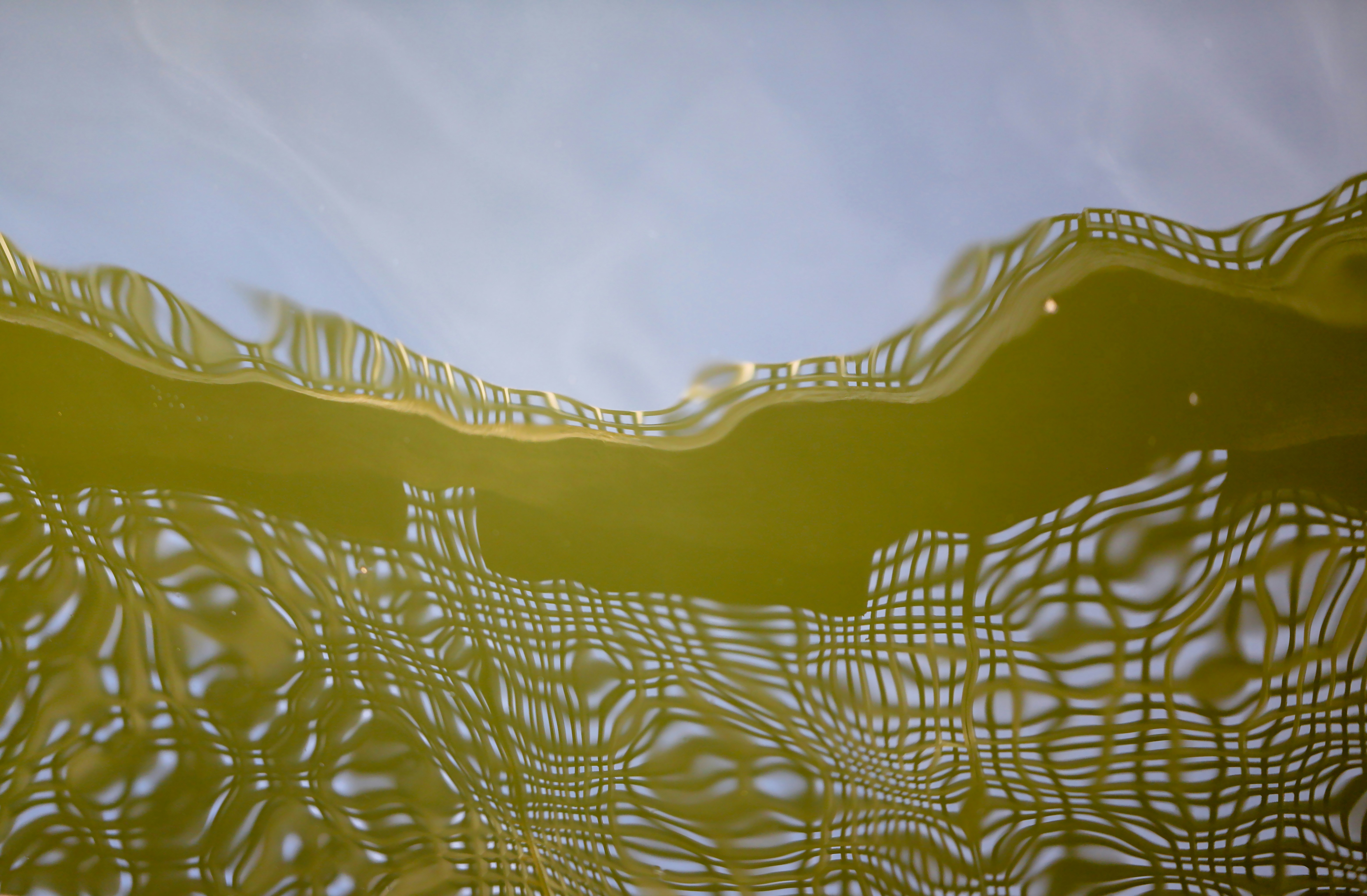 Liquid Mosaic: A Fence of Light