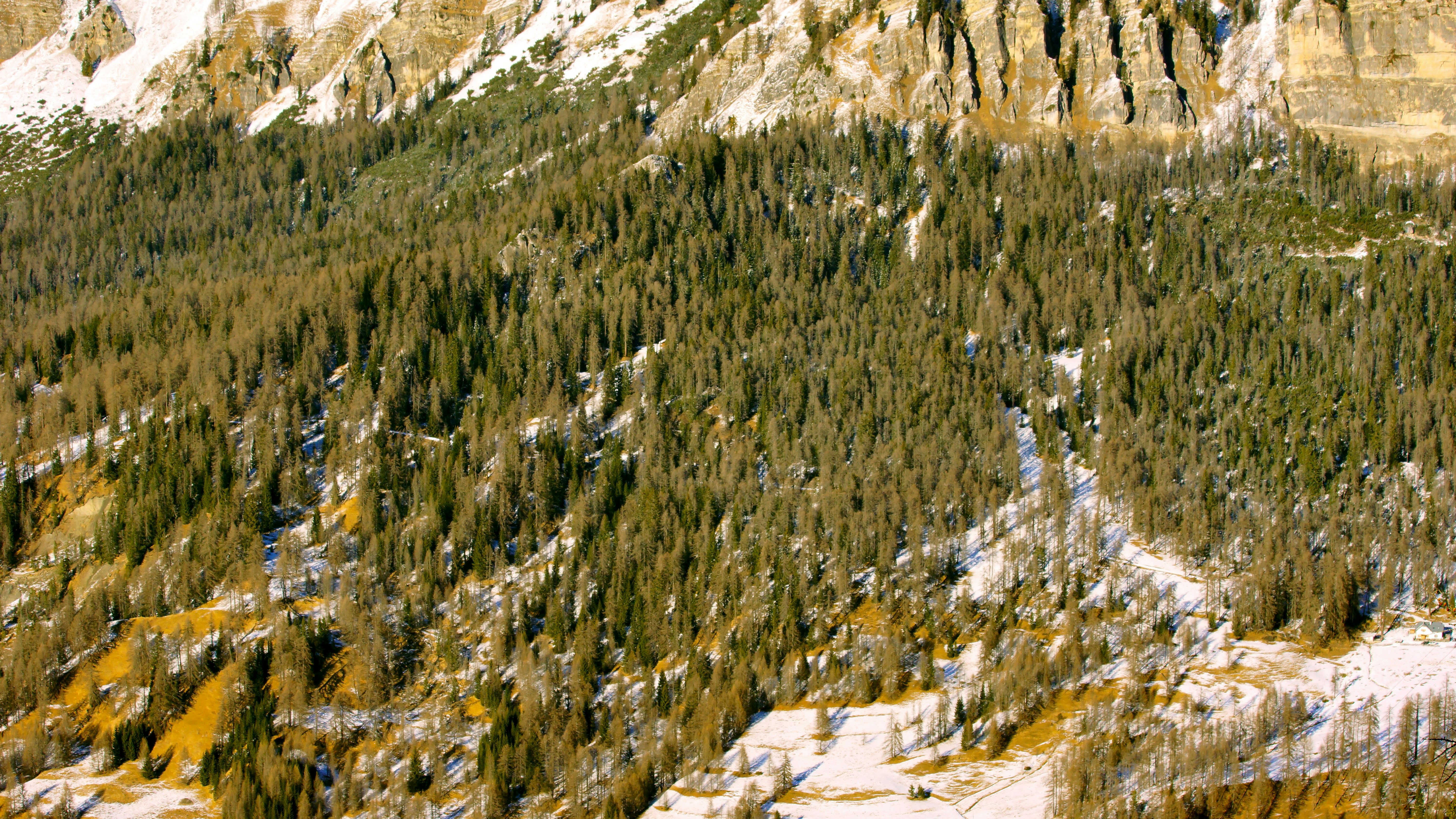 Snow-covered forest blanketed beneath towering mountains, showcasing the serene beauty of nature in winter's grasp.