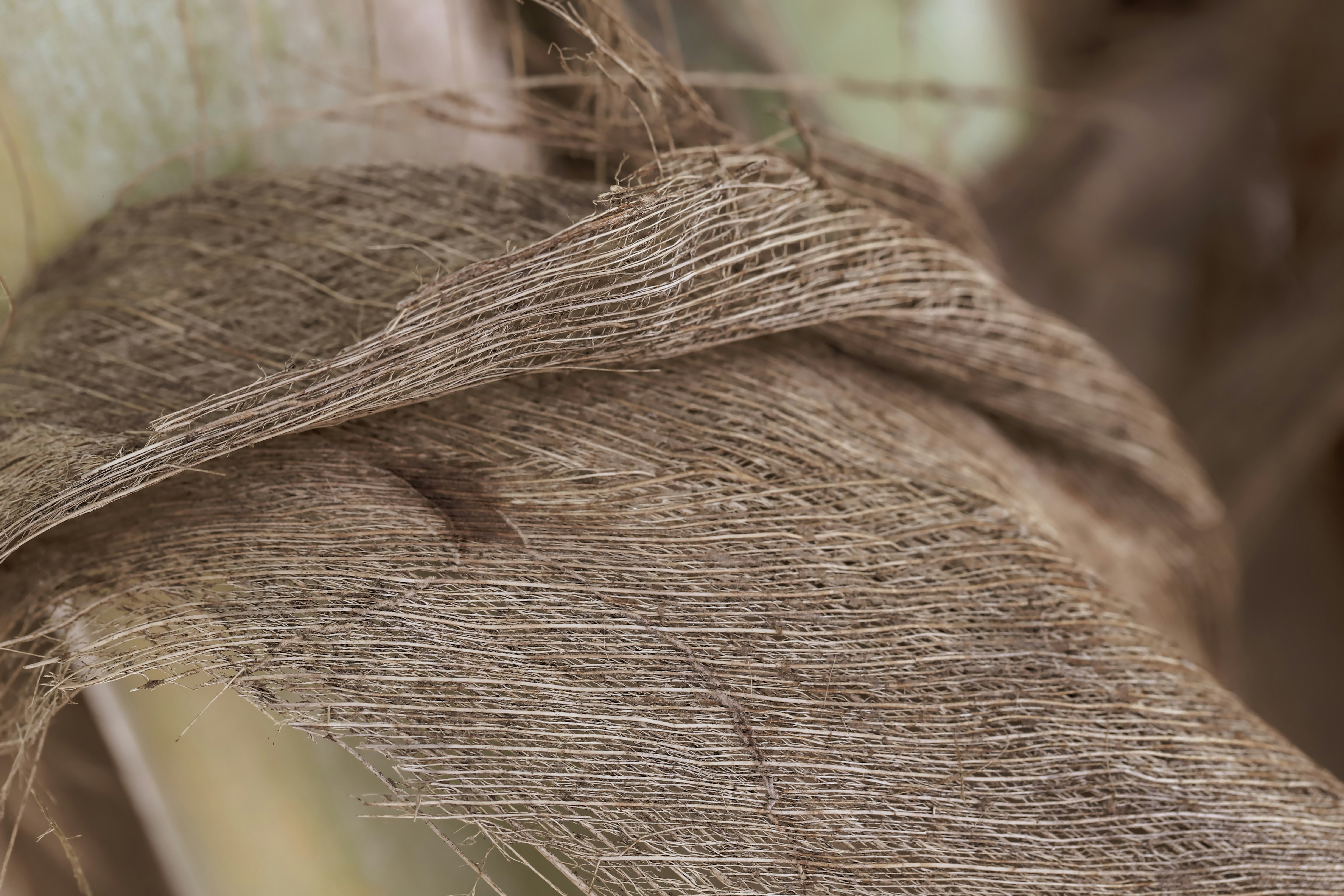 Tangled Hemp Threads: A Quiet Macro of Rope Texture
