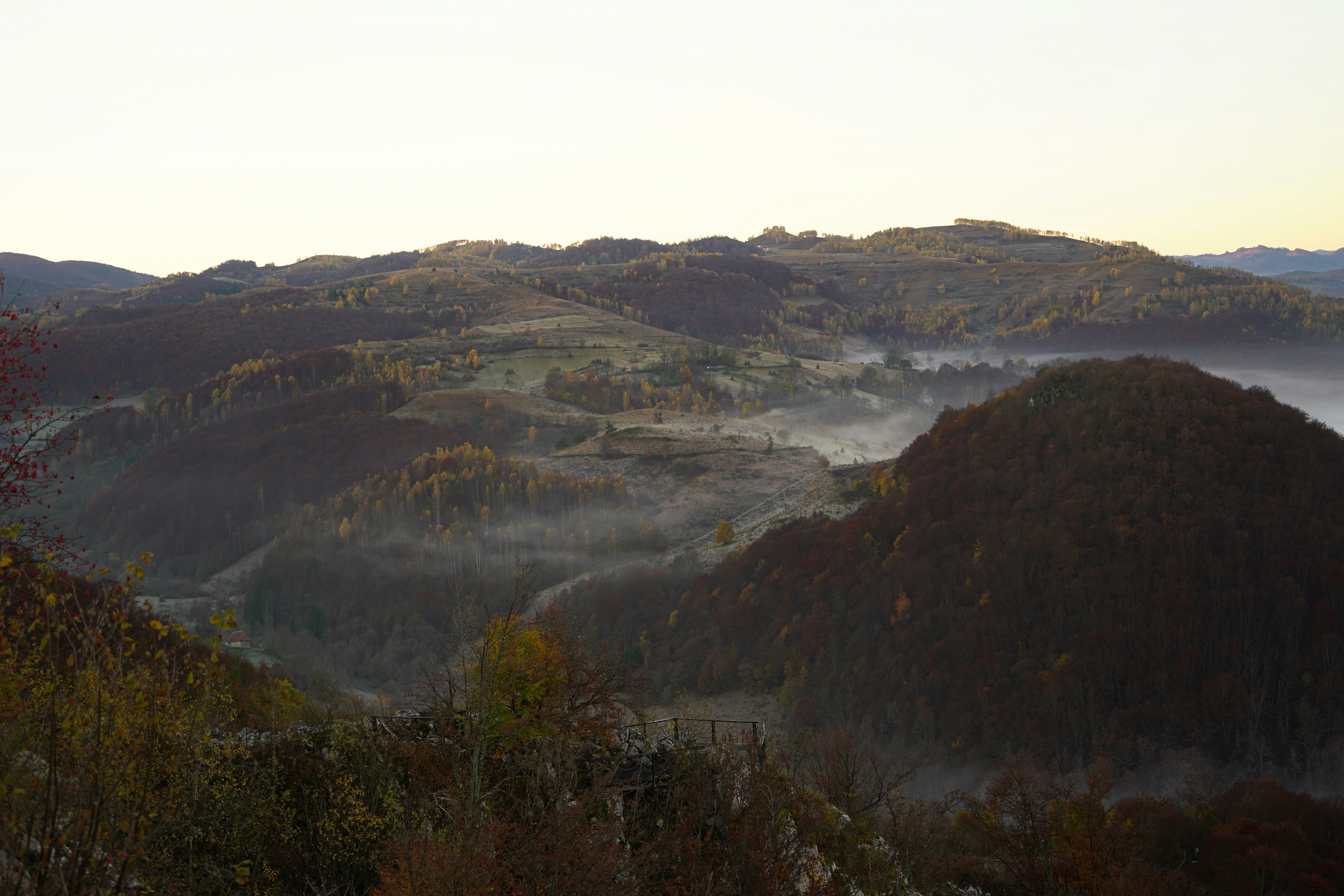 Rolling hills blanketed in autumn foliage, shrouded in morning mist under a soft dawn light.