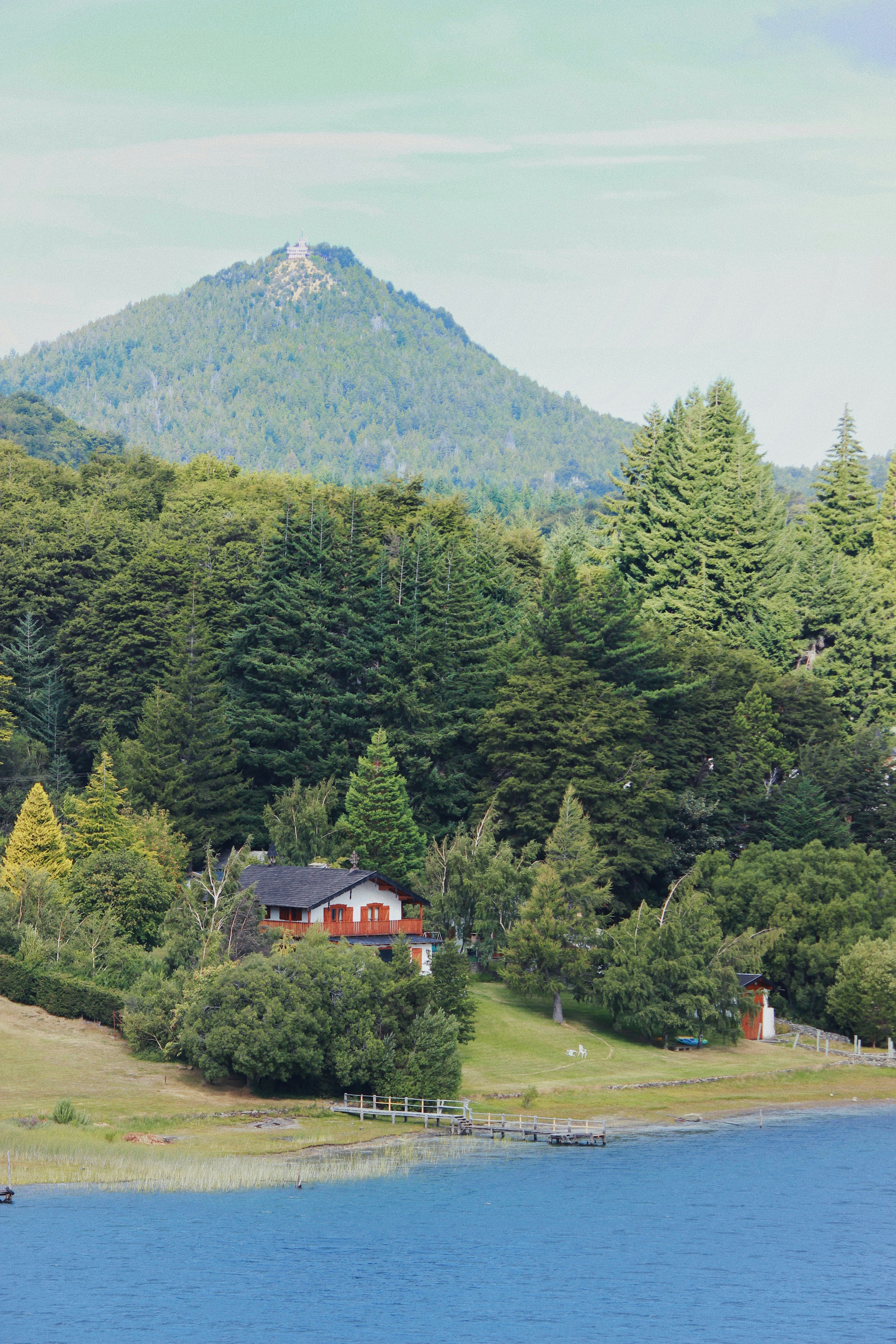 green trees near brown house during daytime