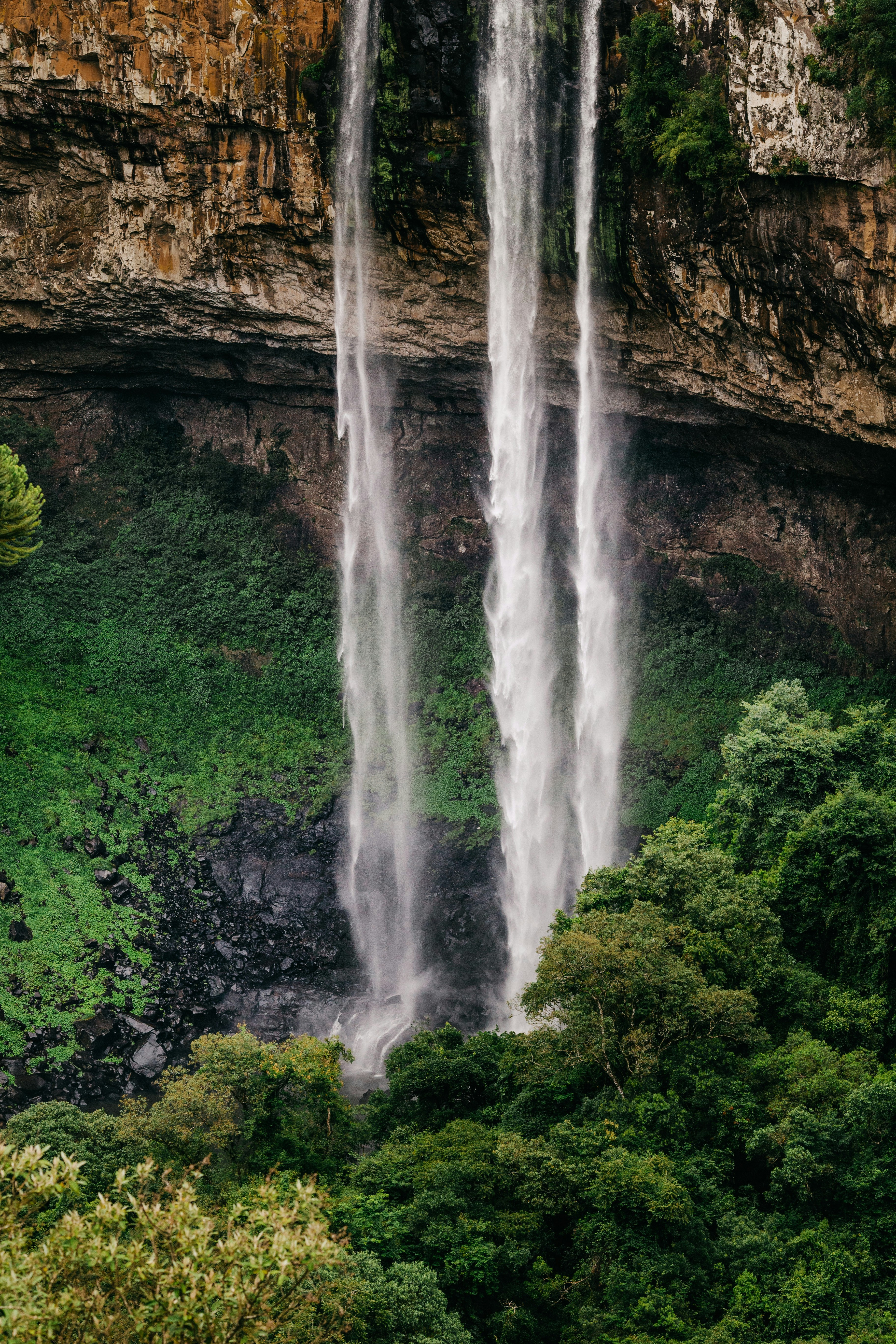 Three waterfalls plunging over a rocky cliff surrounded by lush greenery.