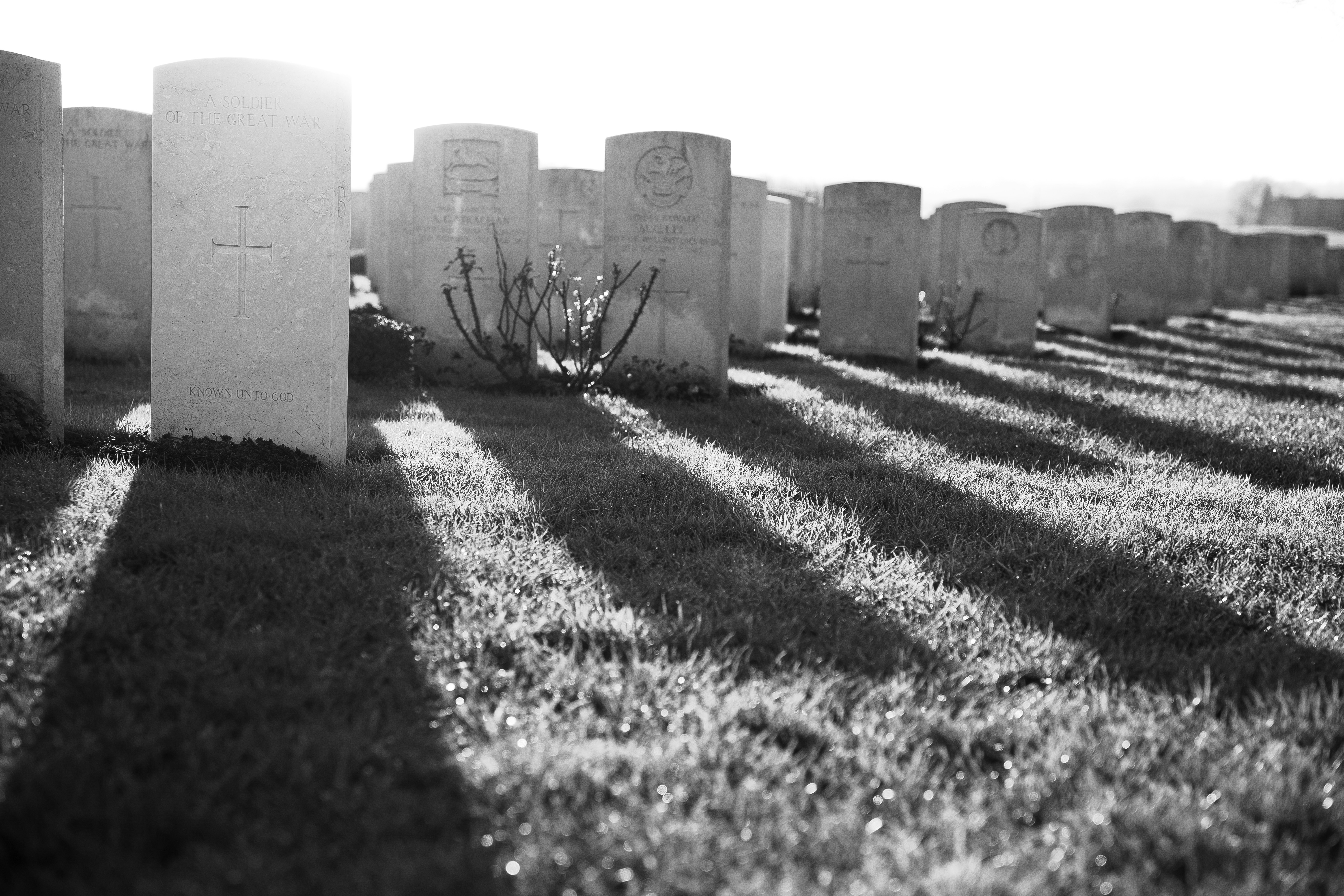 Empty Grave Pictures | Download Free Images on Unsplash