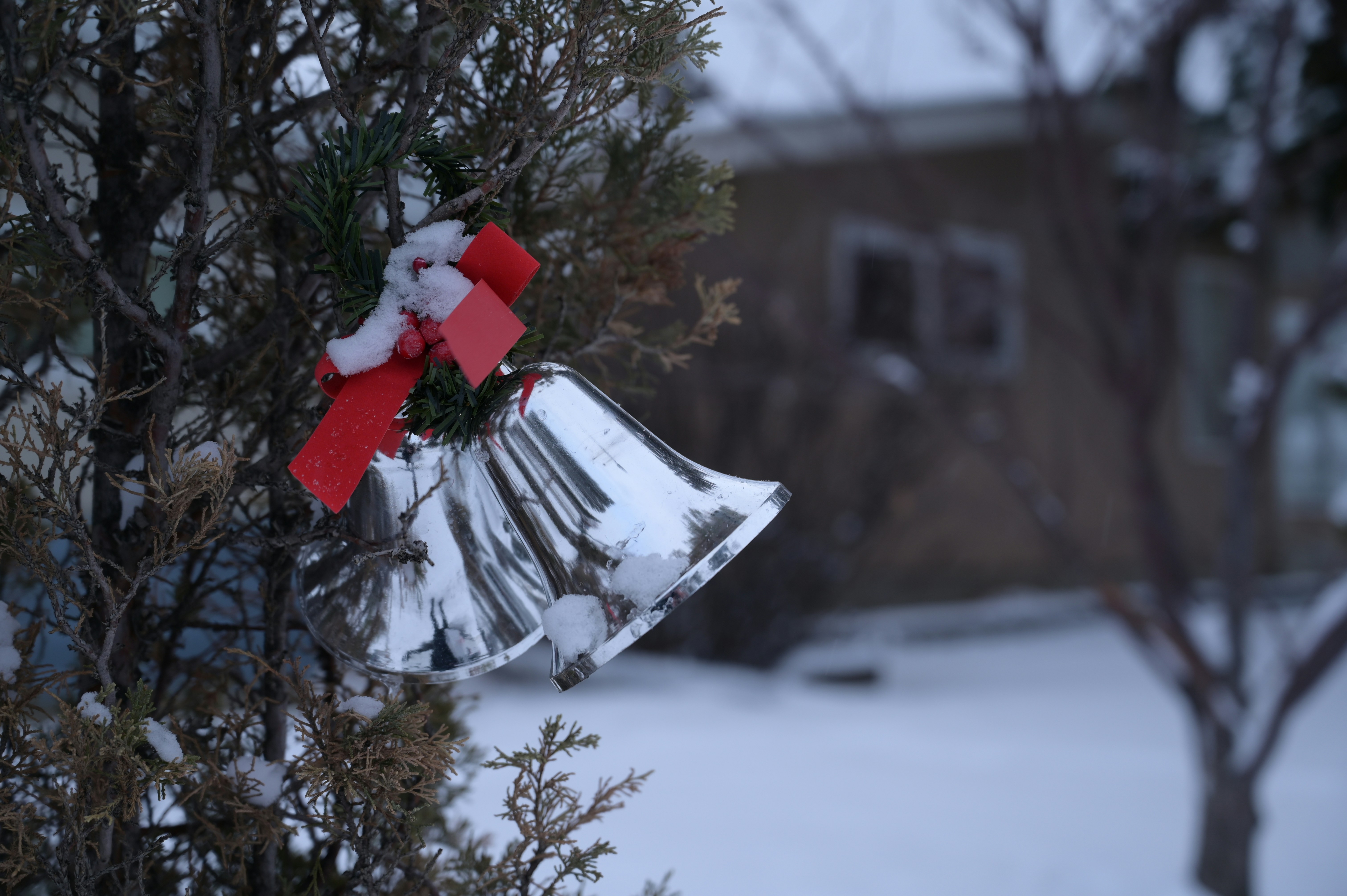 Crystalline Bell in Frost: A Crimson Ribbon on a Snow-dusted Branch