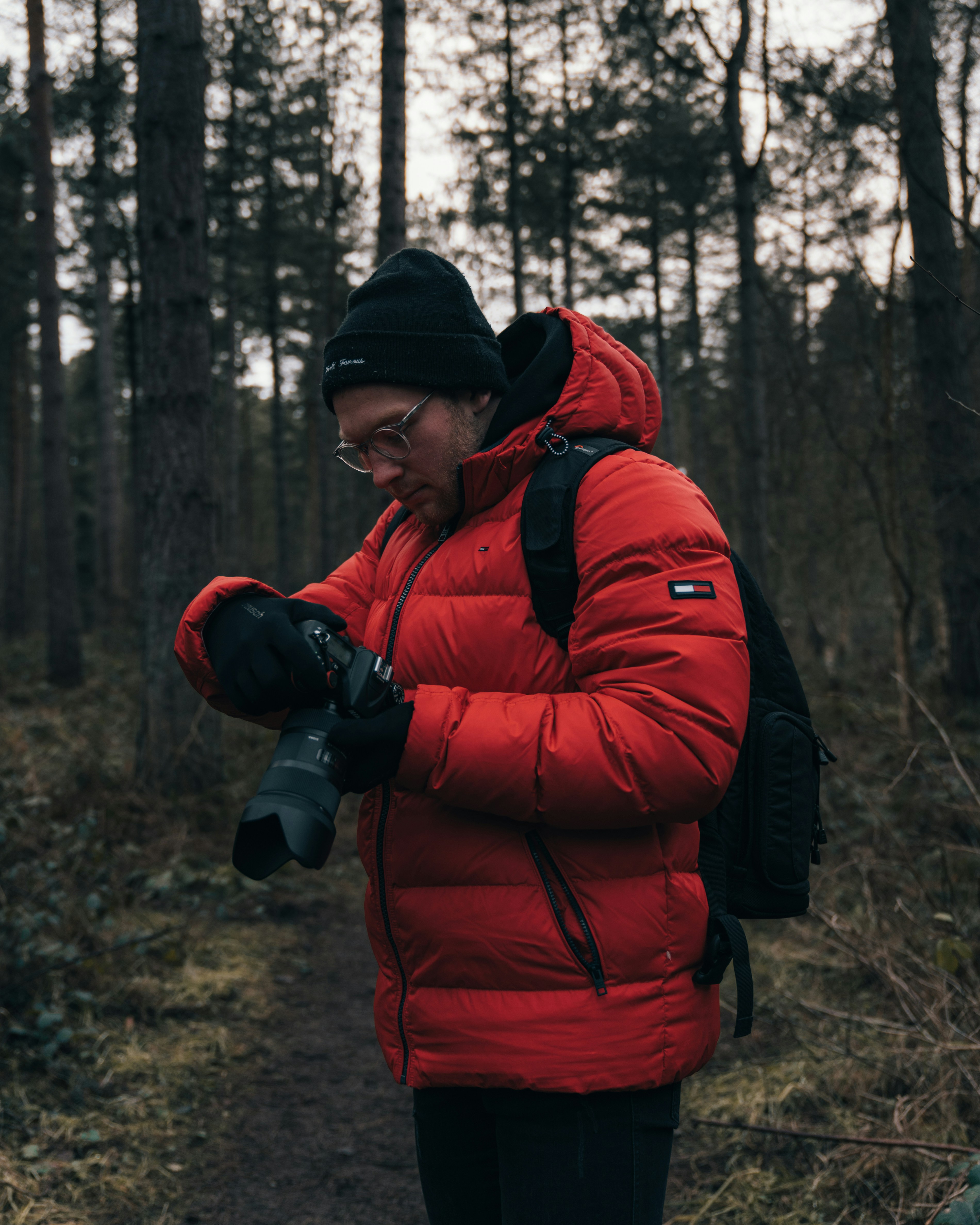 Forest Photographer in a Red Puffer Silhouetted by Tall Pines