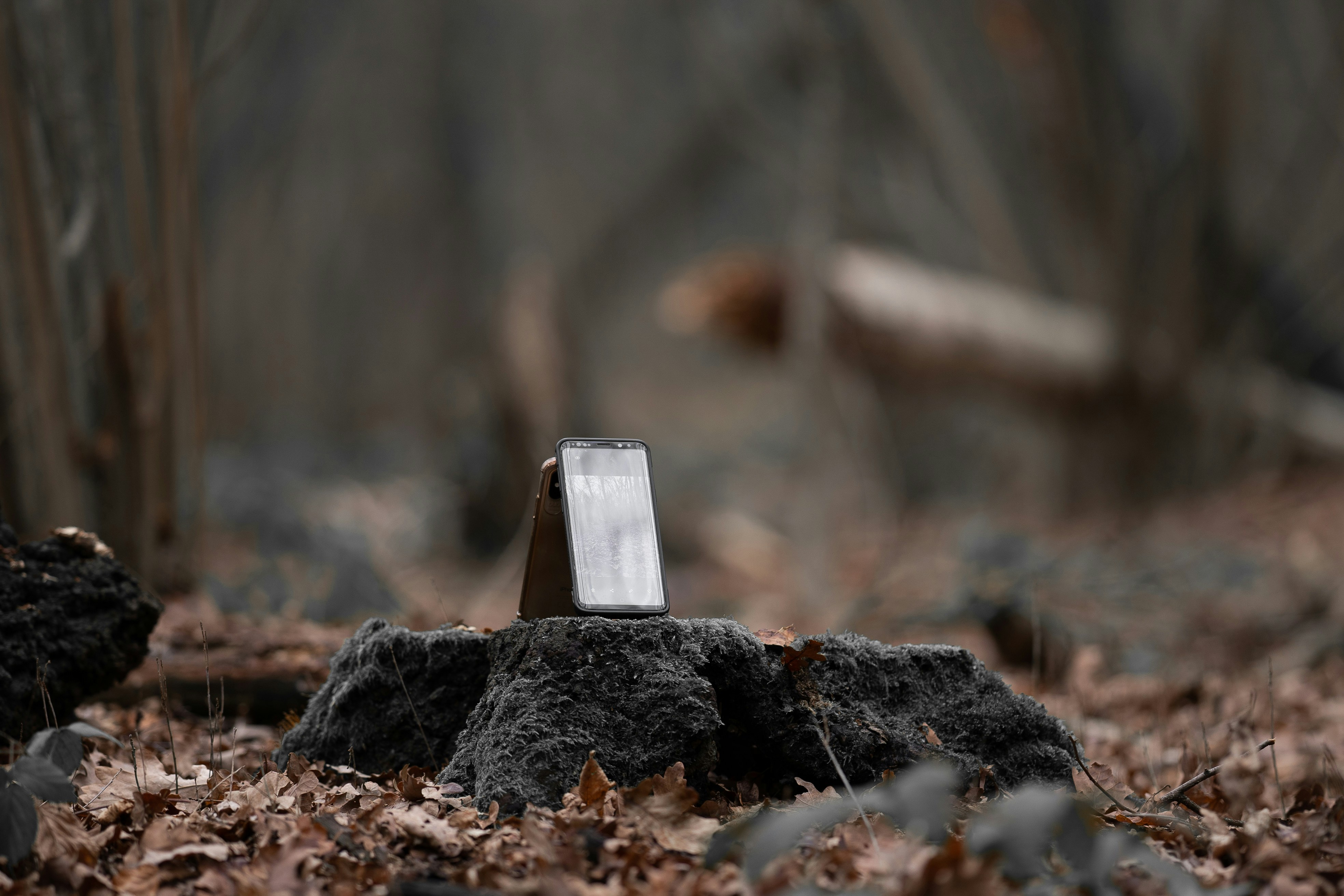 white box on brown soil