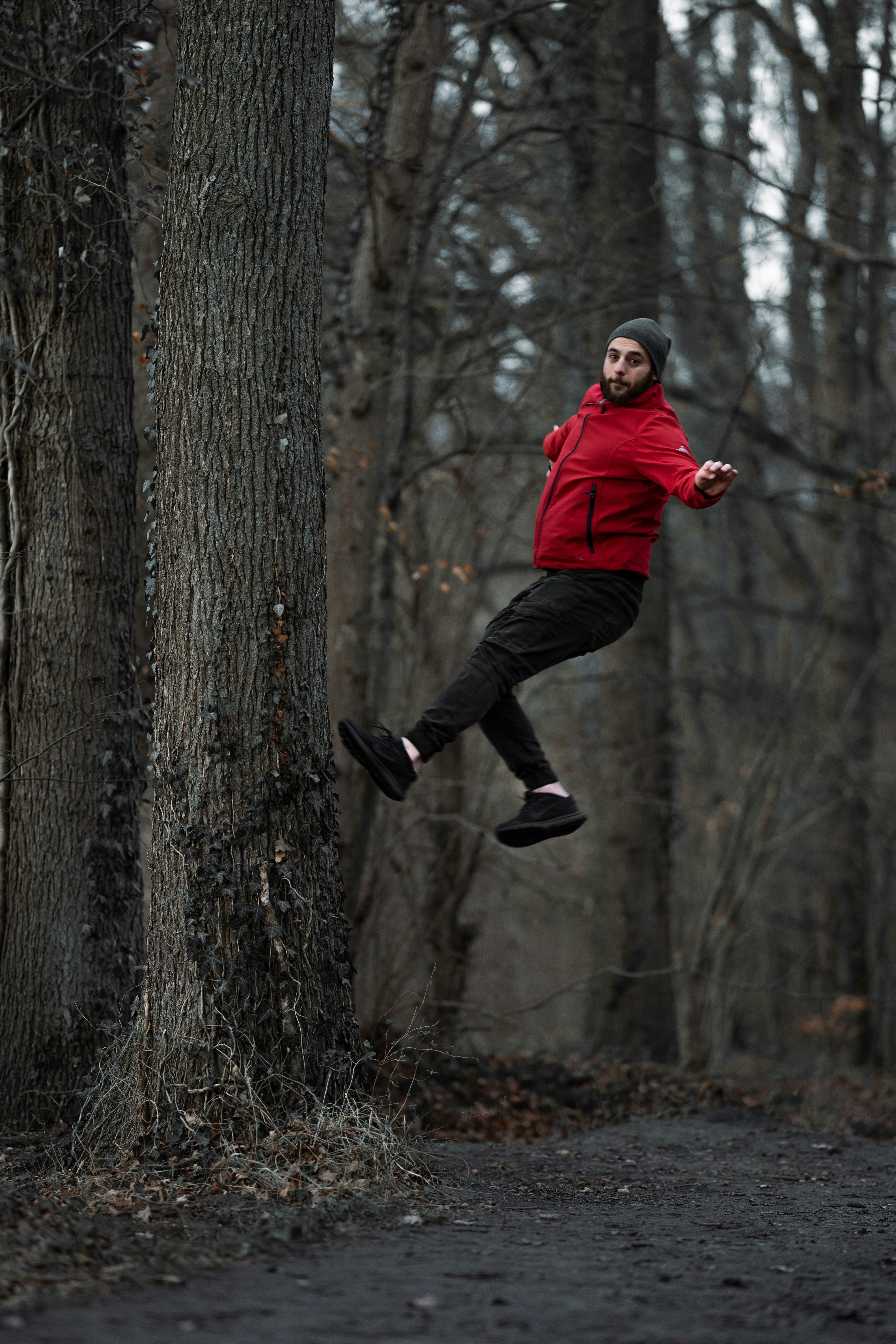 Scarlet Leap Among Silent Pines