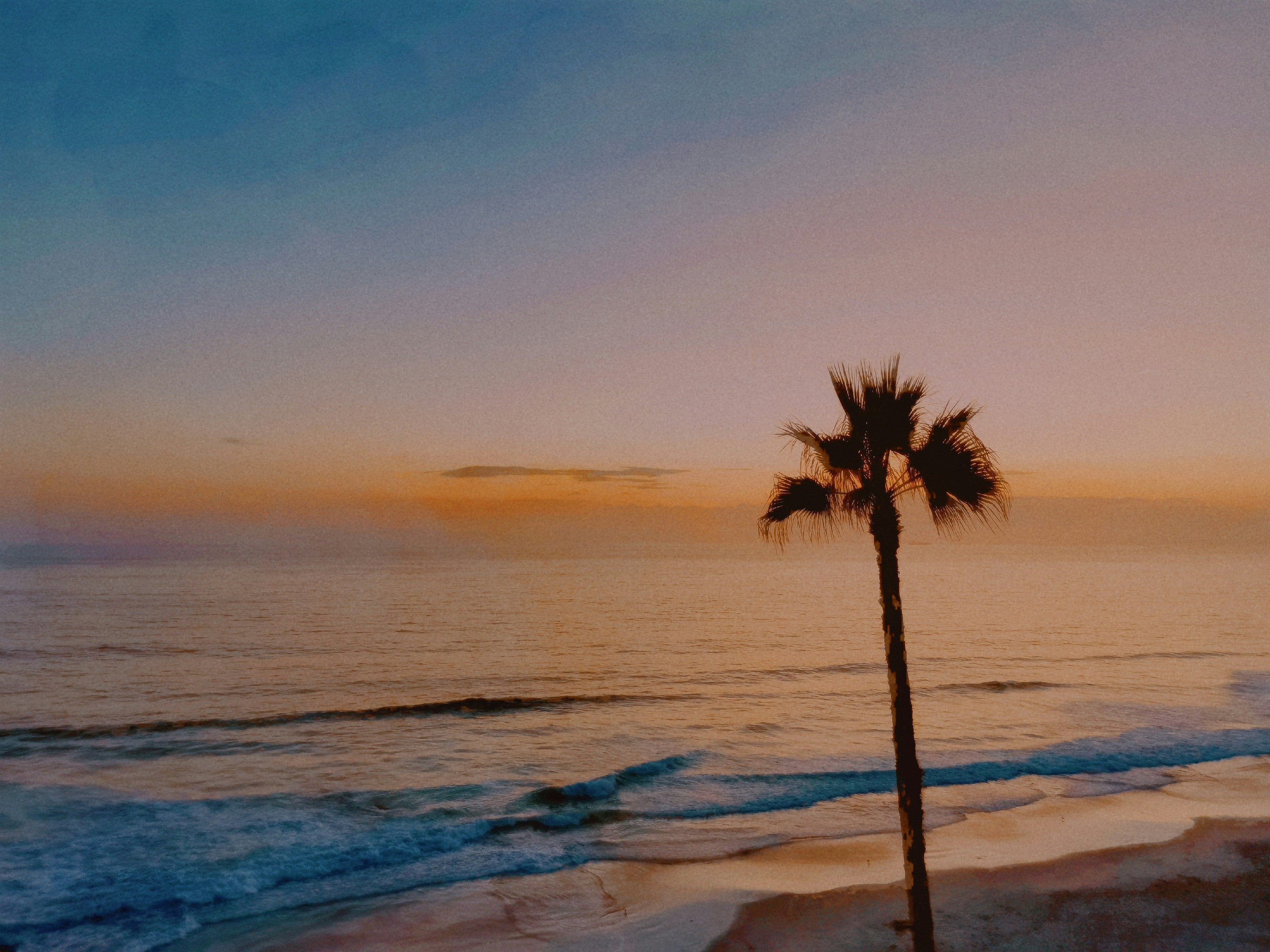 Lonely palm tree silhouetted against a serene twilight sky, with gentle waves lapping at the shore.