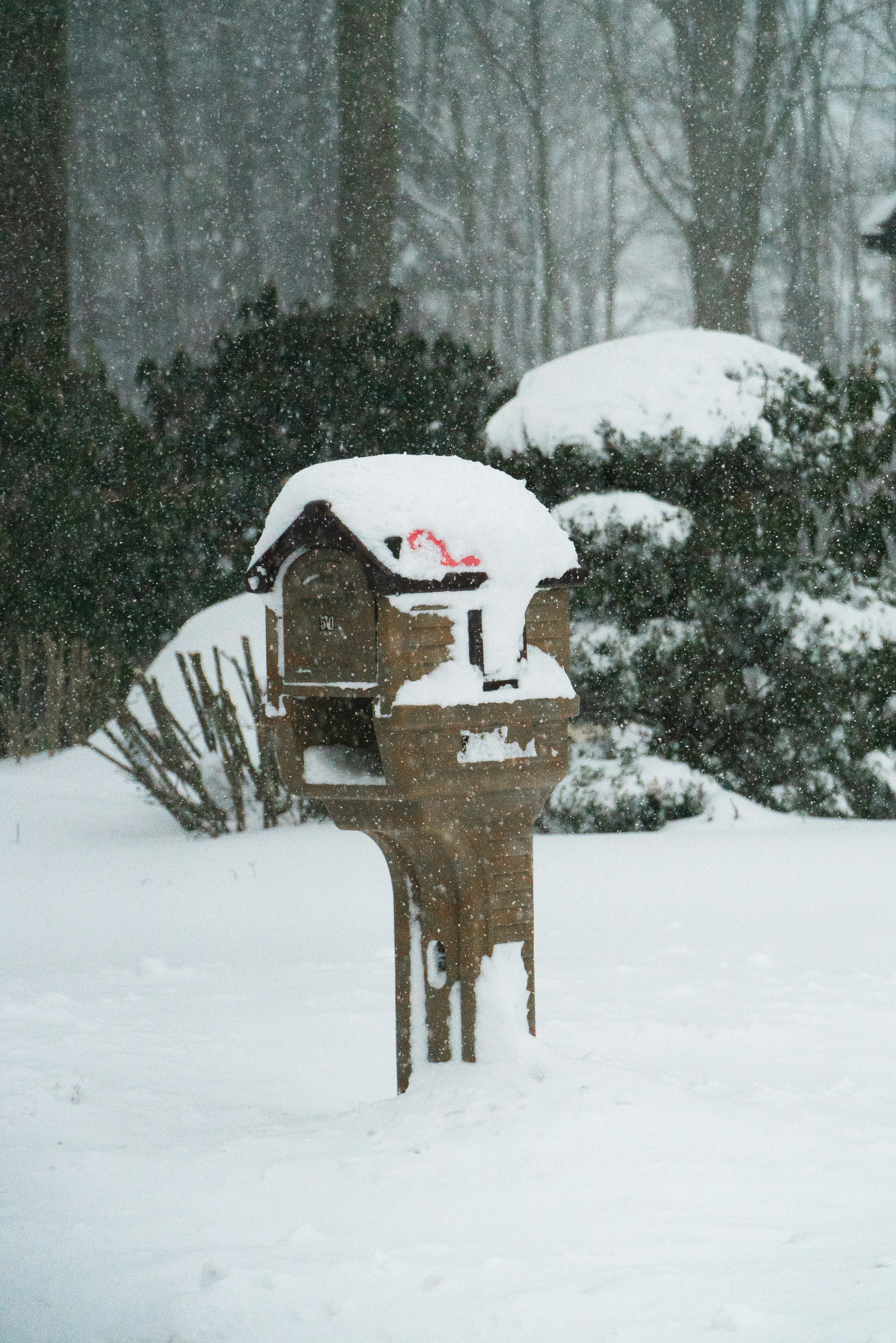 snow covered house surrounded by trees during daytime