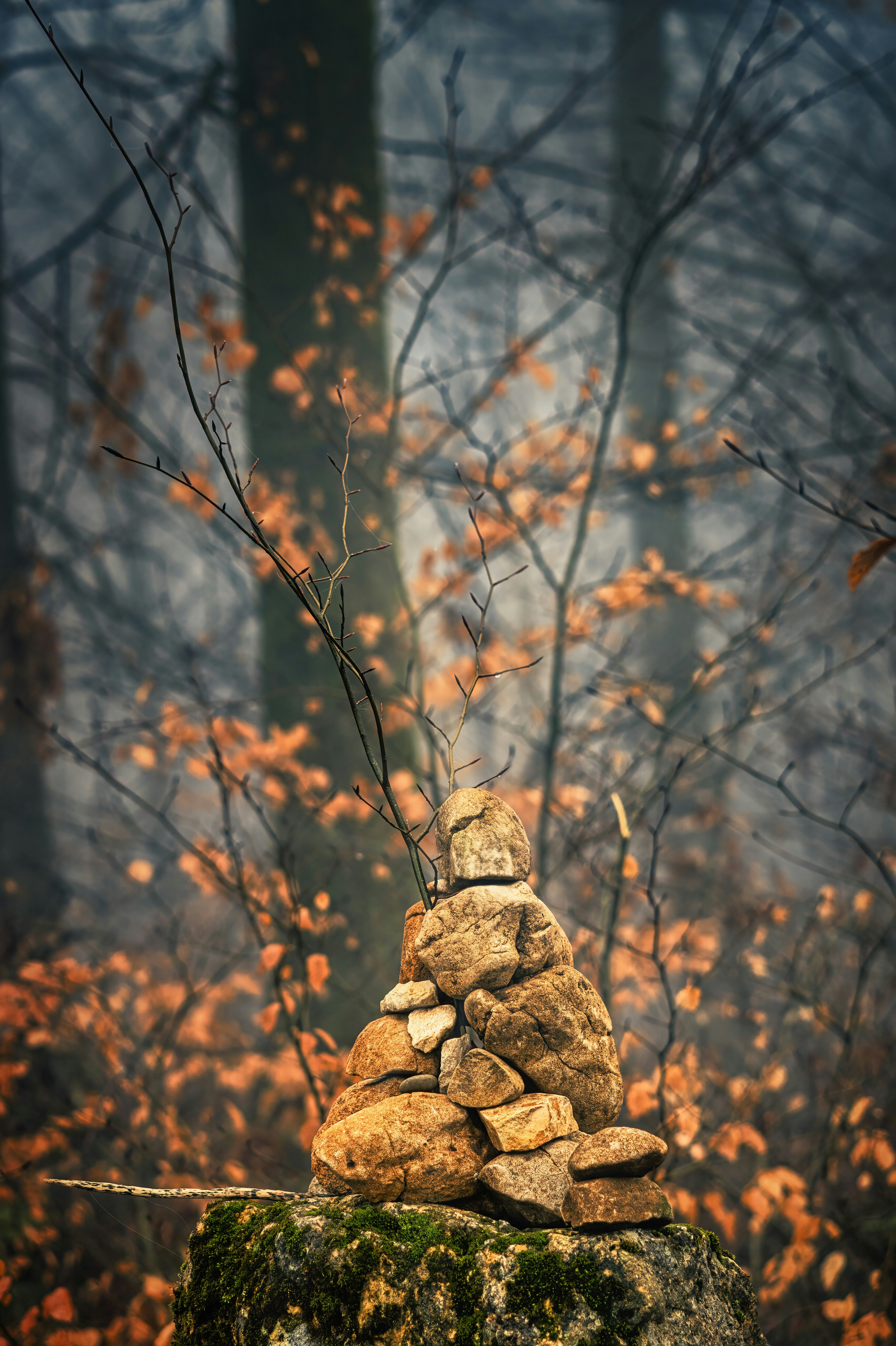 Stone Stupa Rising from Mossy Base in a Misty Autumn Clearing