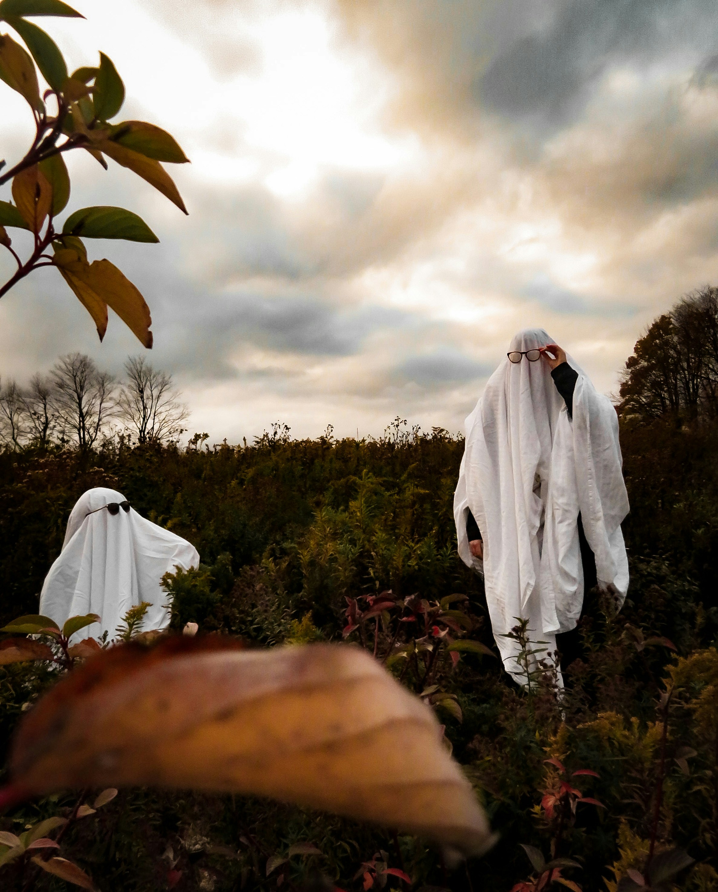 Two White Shrouds in an Autumn Field Under Cloudy Dusk