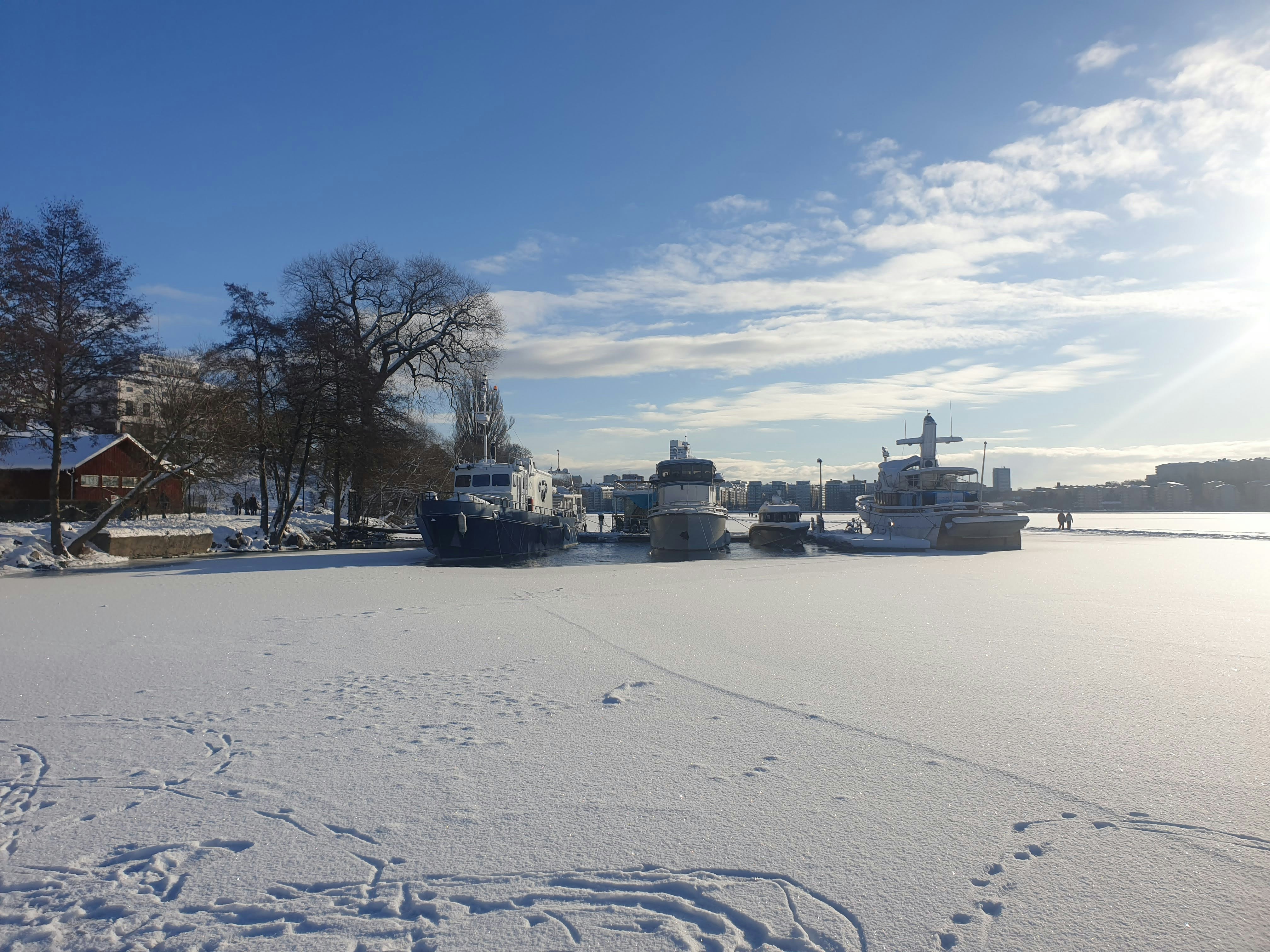 Amita Roy (@amivik_roy) | Comunidade de fotos da Unsplash