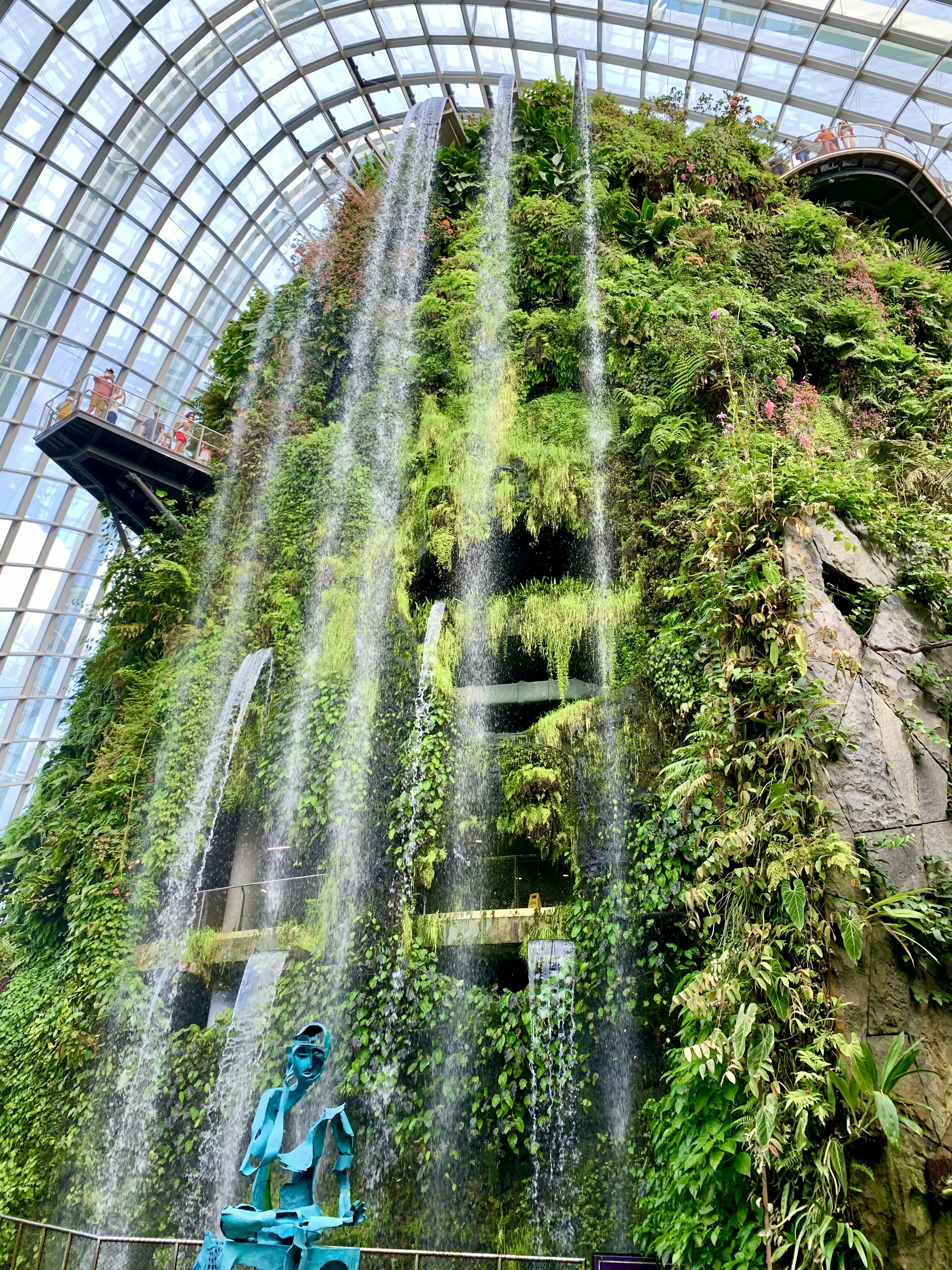 green plant on gray concrete wall