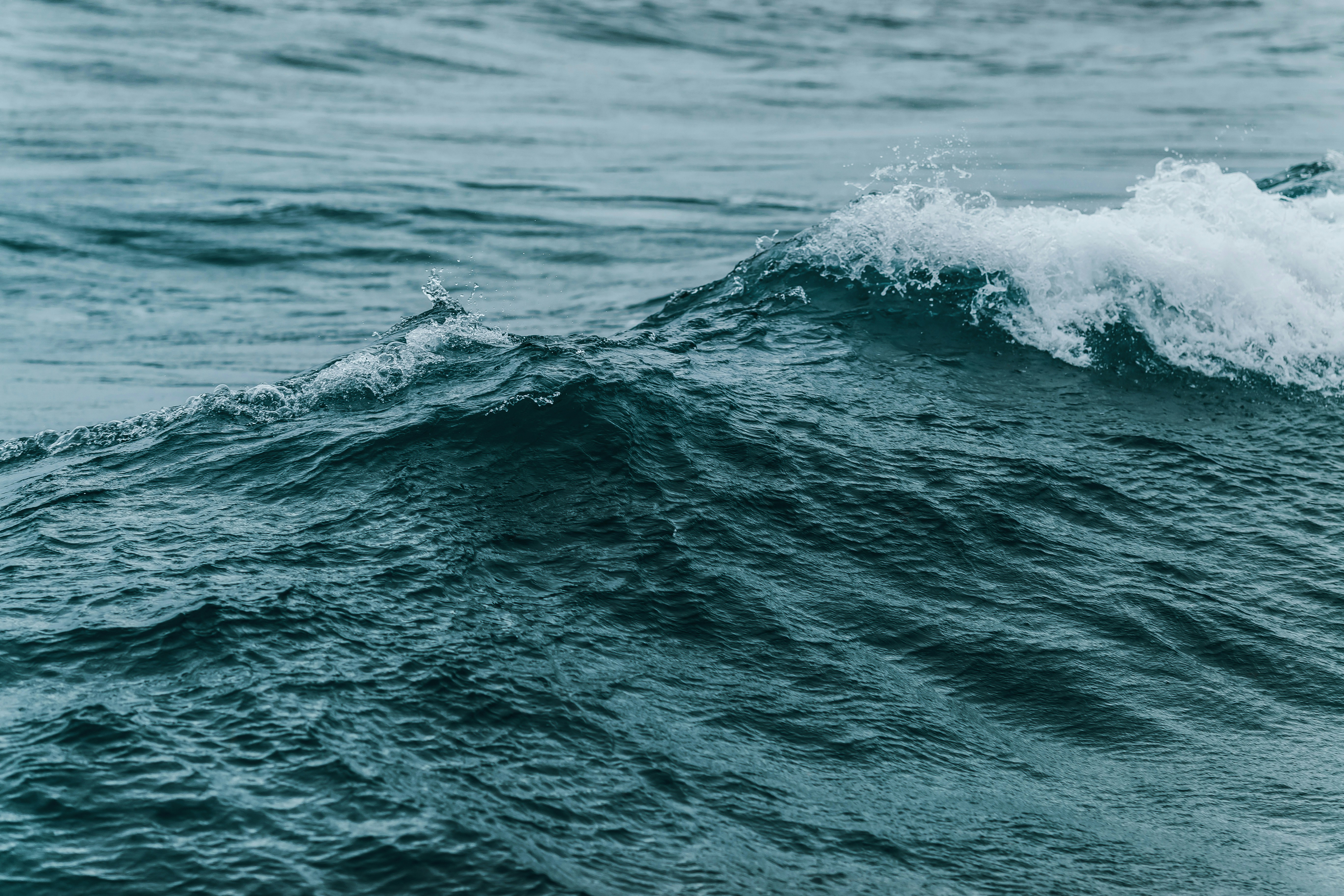 The Whisper of Ocean WavesОлег Мороз