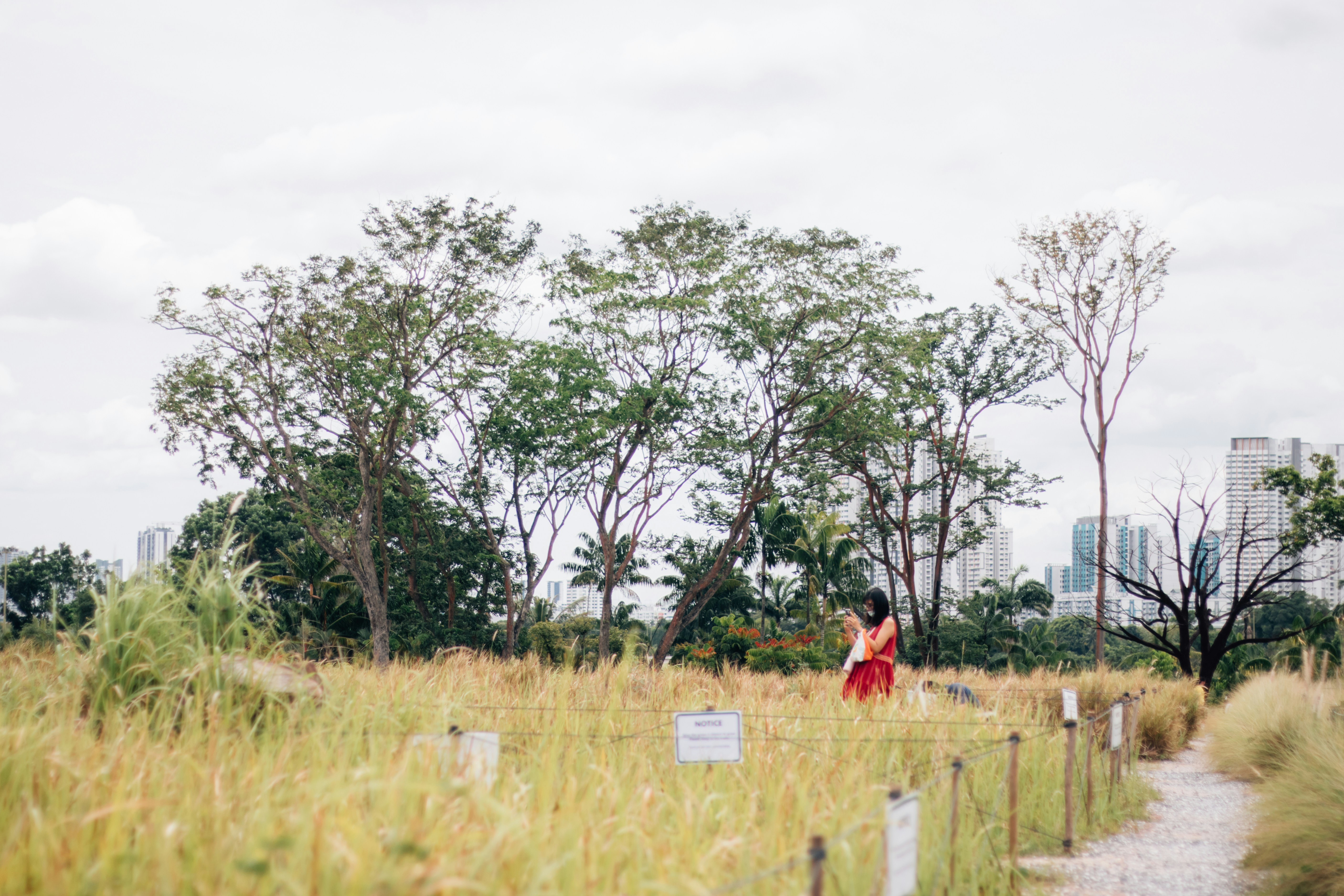 people walking on green grass field during daytime