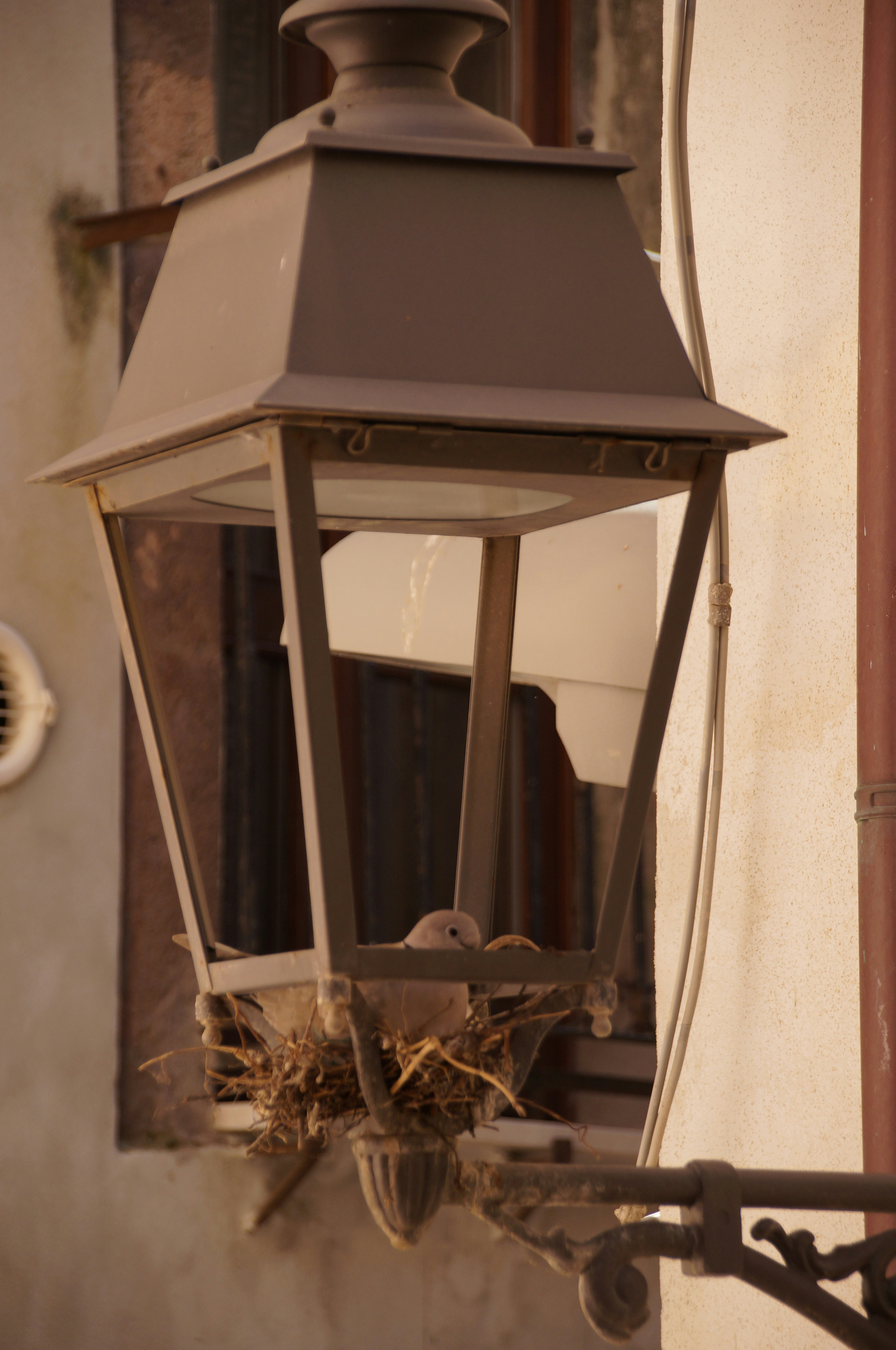 Dusk Lantern: A Nest Quietly Housed in Metal and Light