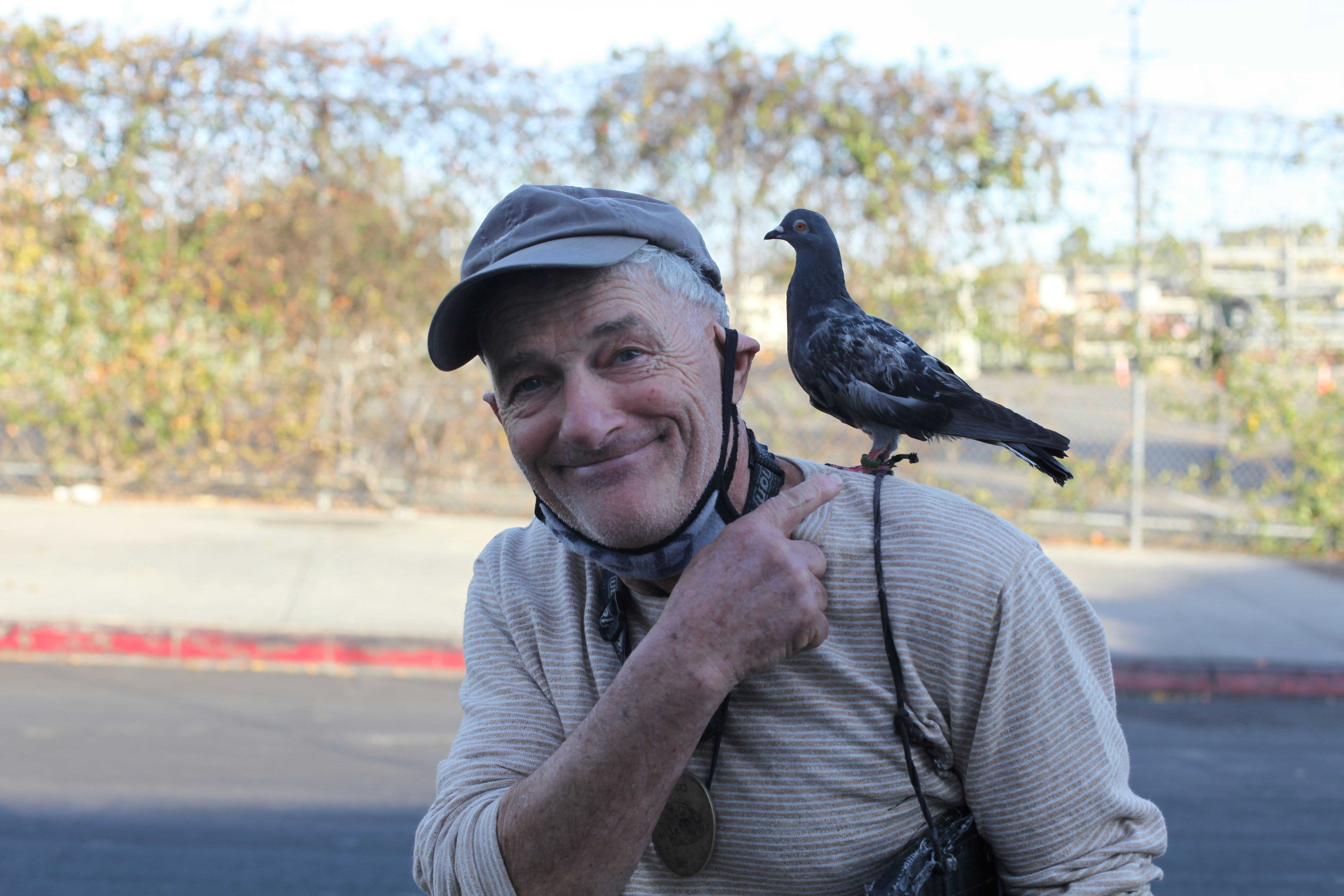 Smiling Gardener's Companion: A Bird Perch on a Warm Afternoon