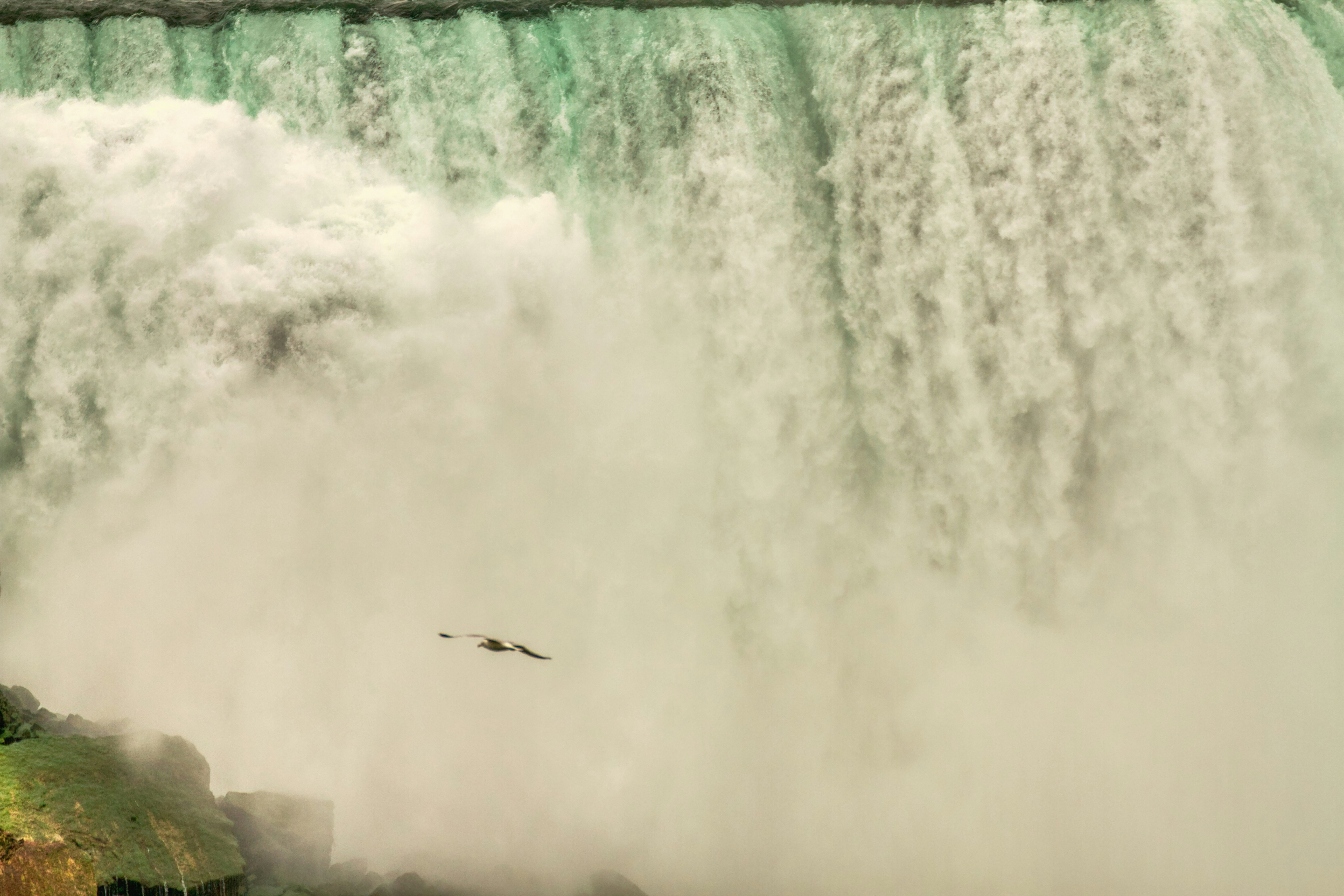 A bird glides gracefully through the misty spray of a powerful waterfall, capturing the essence of nature's harmony.