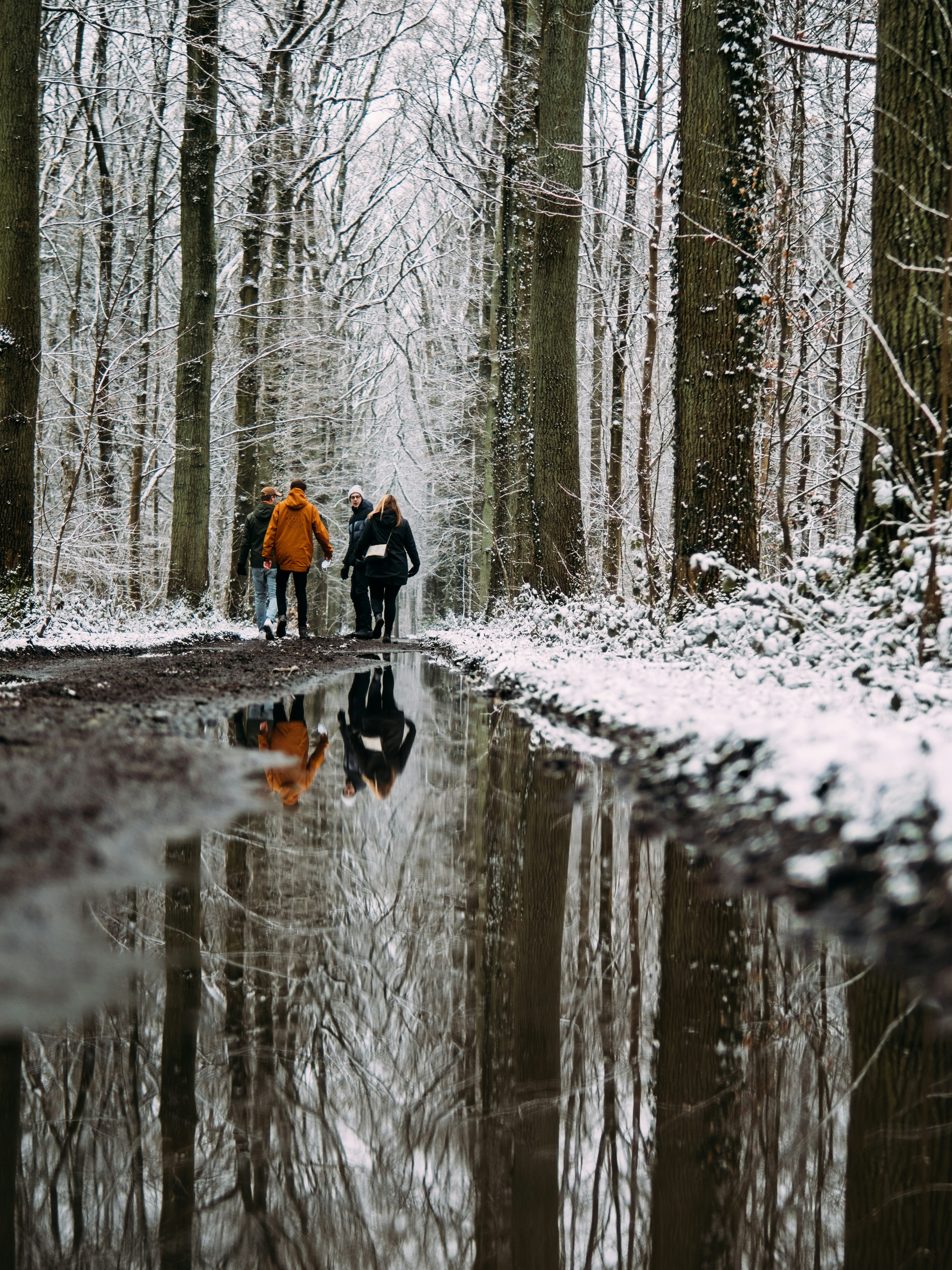 Group of people walking along a snow-covered path in a forest, with reflections visible in a puddle. The scene captures the serene beauty of winter.